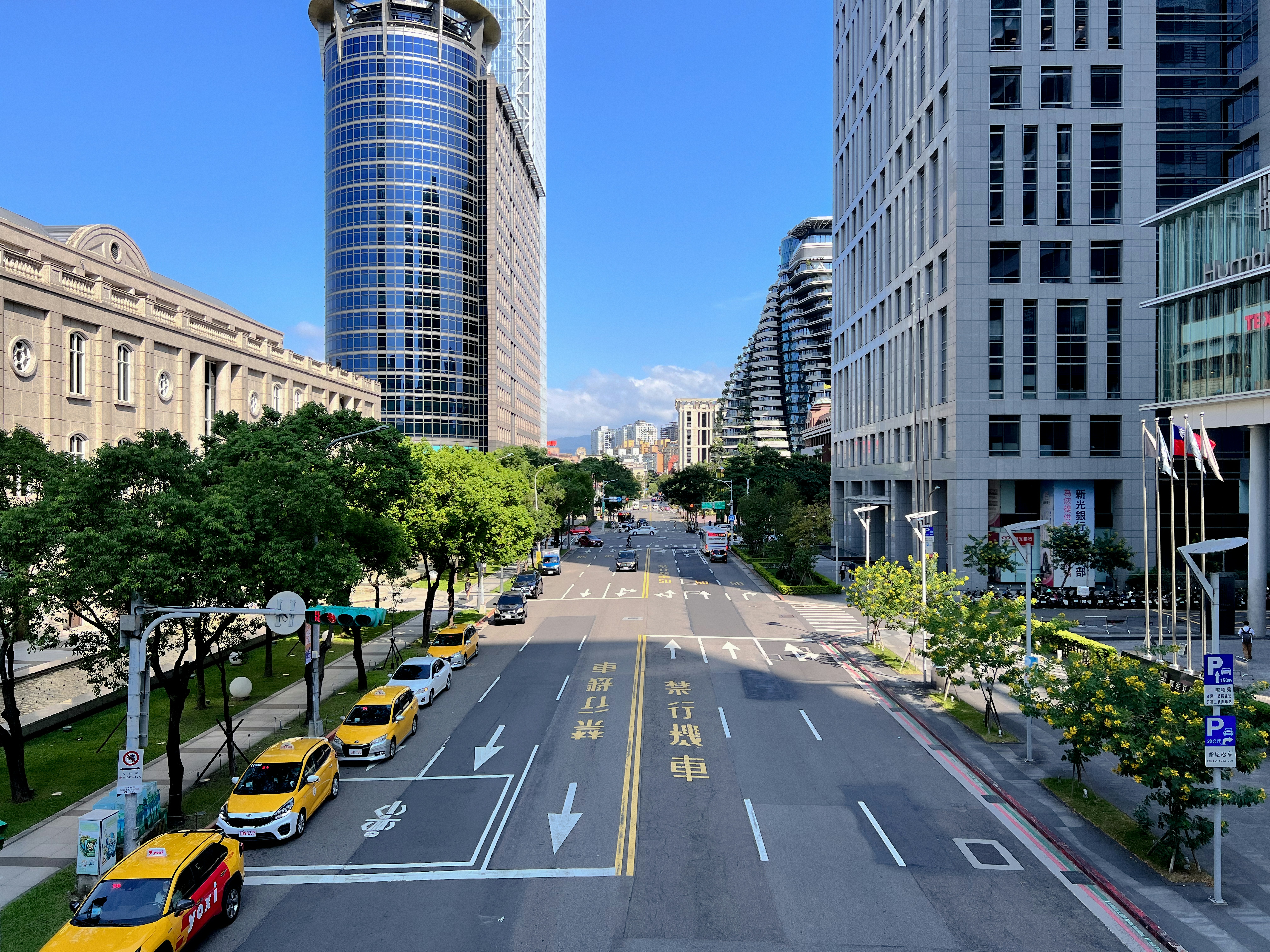 Urban Boulevard: A Sunlit Corridor Between Glass and Ginkgo