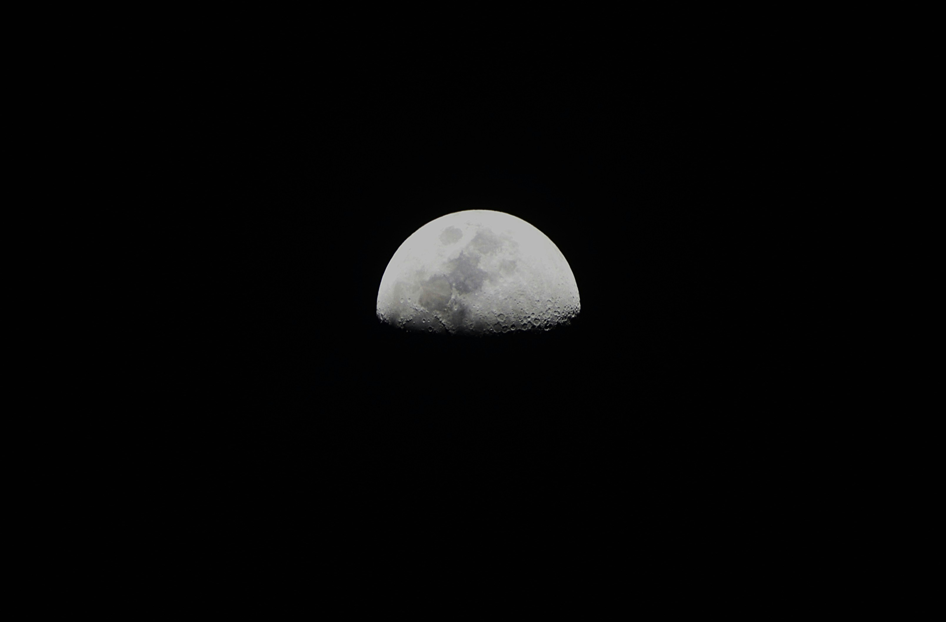 Half-lit Moon Haltingly Emerges from Night