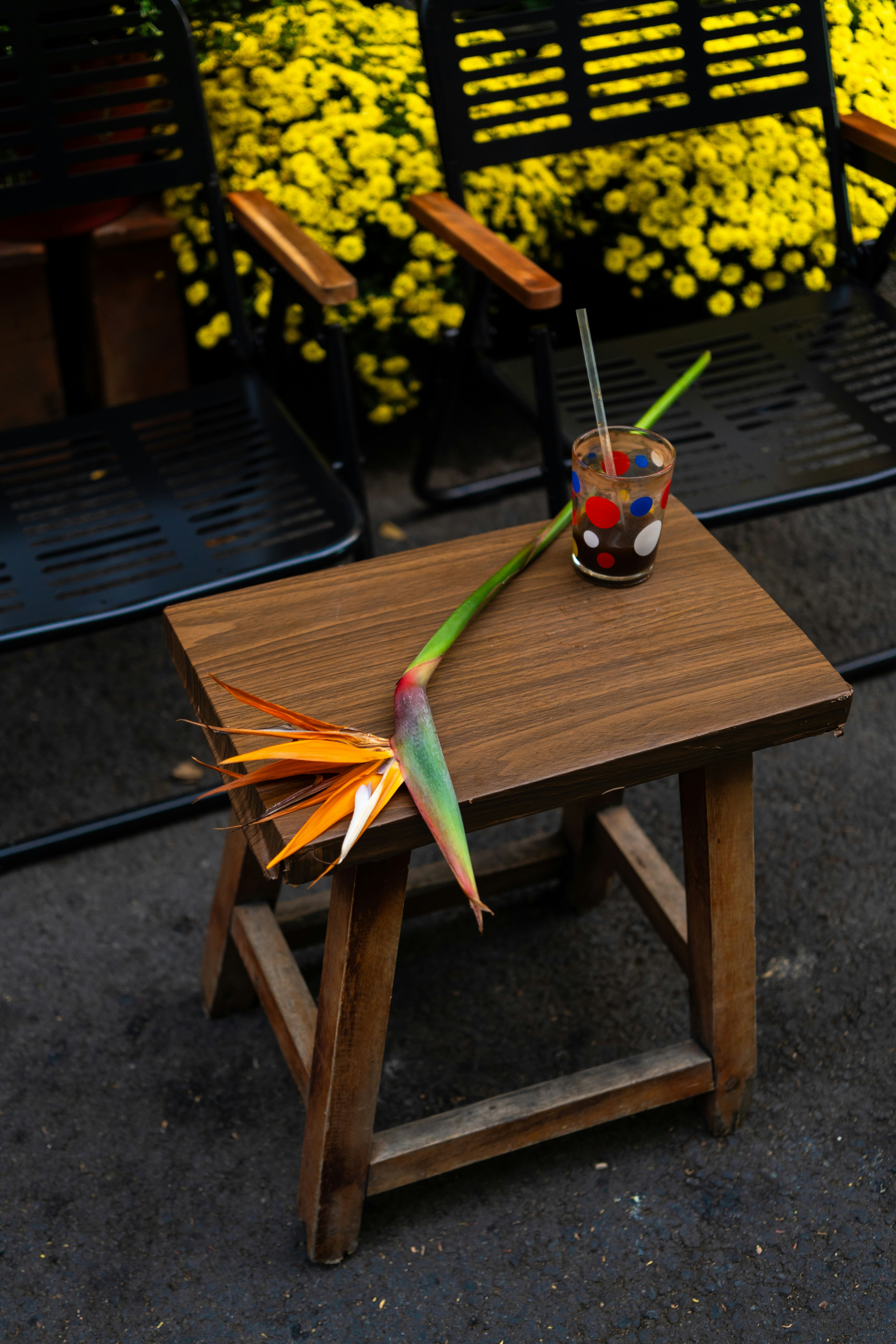 Tabletop Tropics: A Bird of Paradise rests beside a glass of color