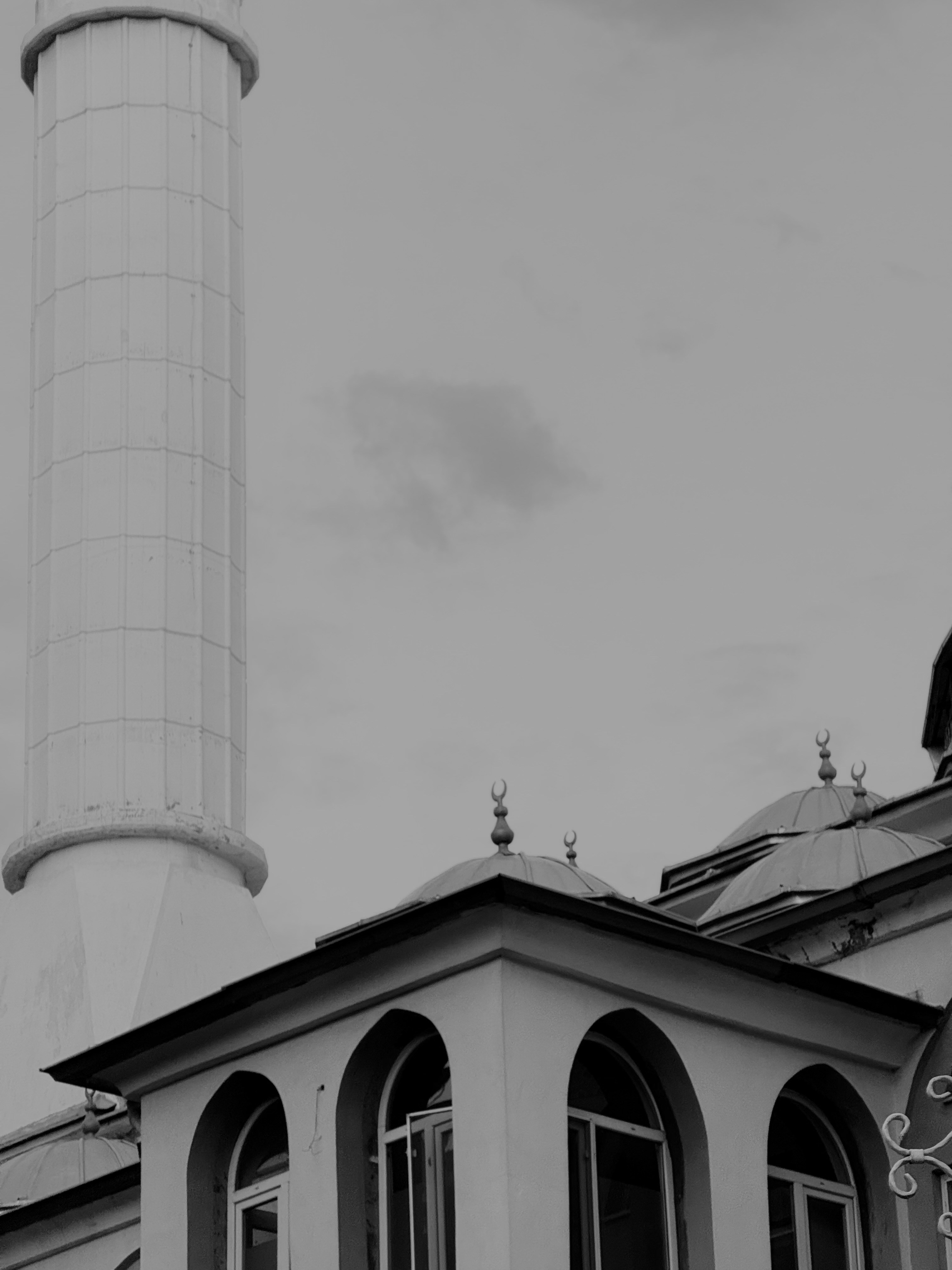 Chic Monochrome: Classical Dome and Column Corner
