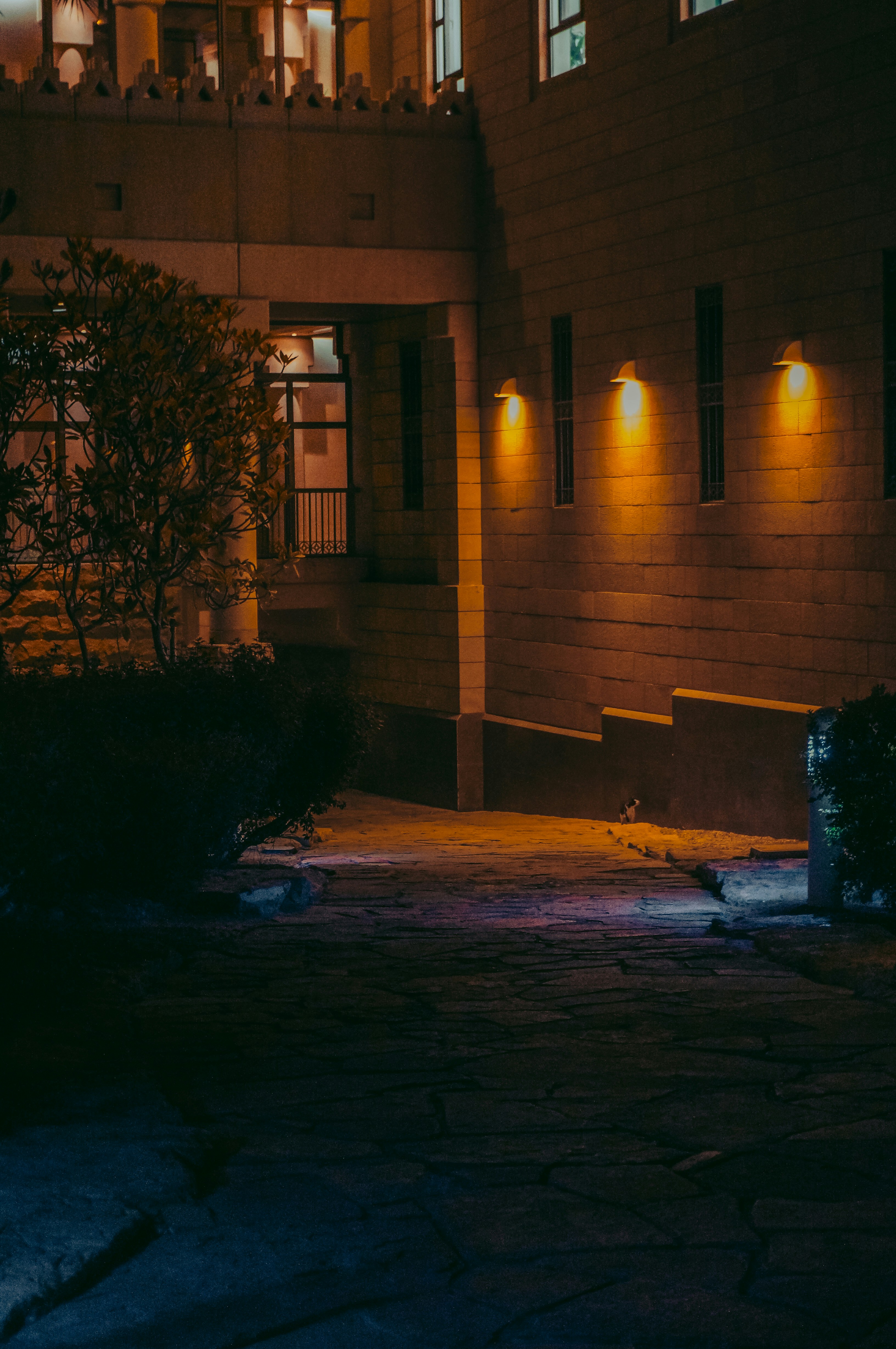 Urban Night Corridor Bathed in Amber Lighting