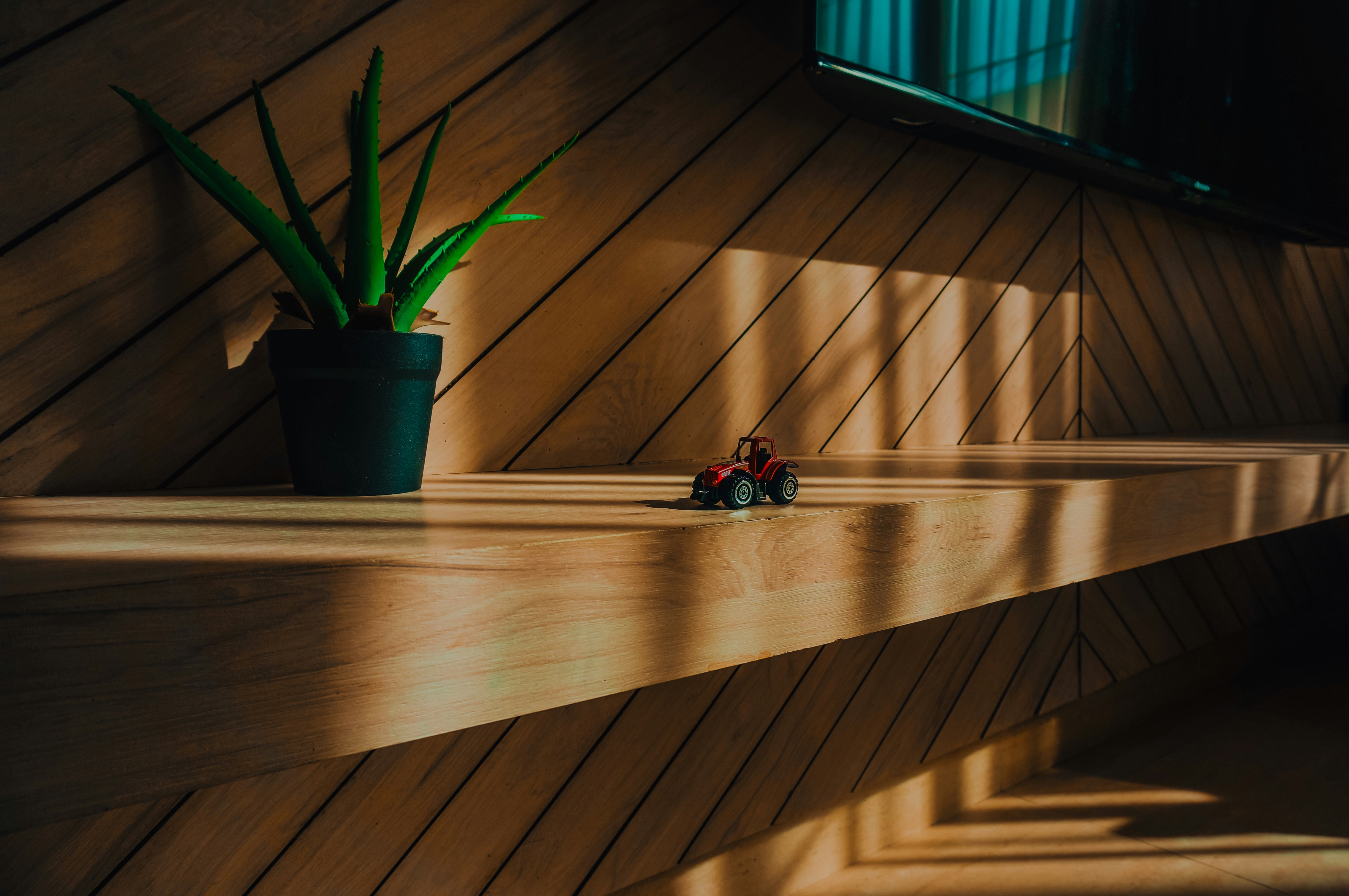 Tiny Tractor on a Sunlit Shelf: Quiet Geometry in Wood