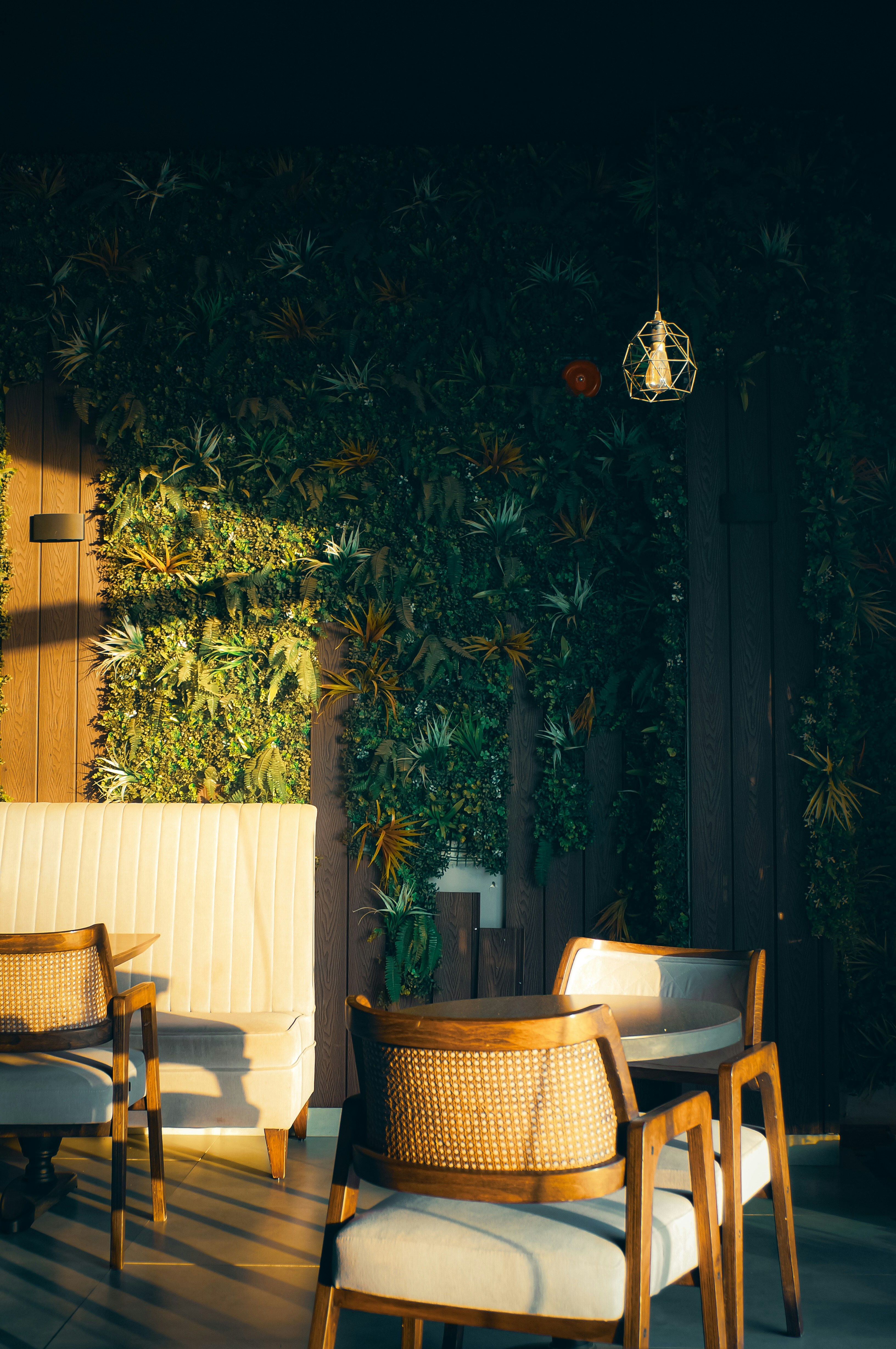 Sunlit Lounge Beneath a Hanging Lantern