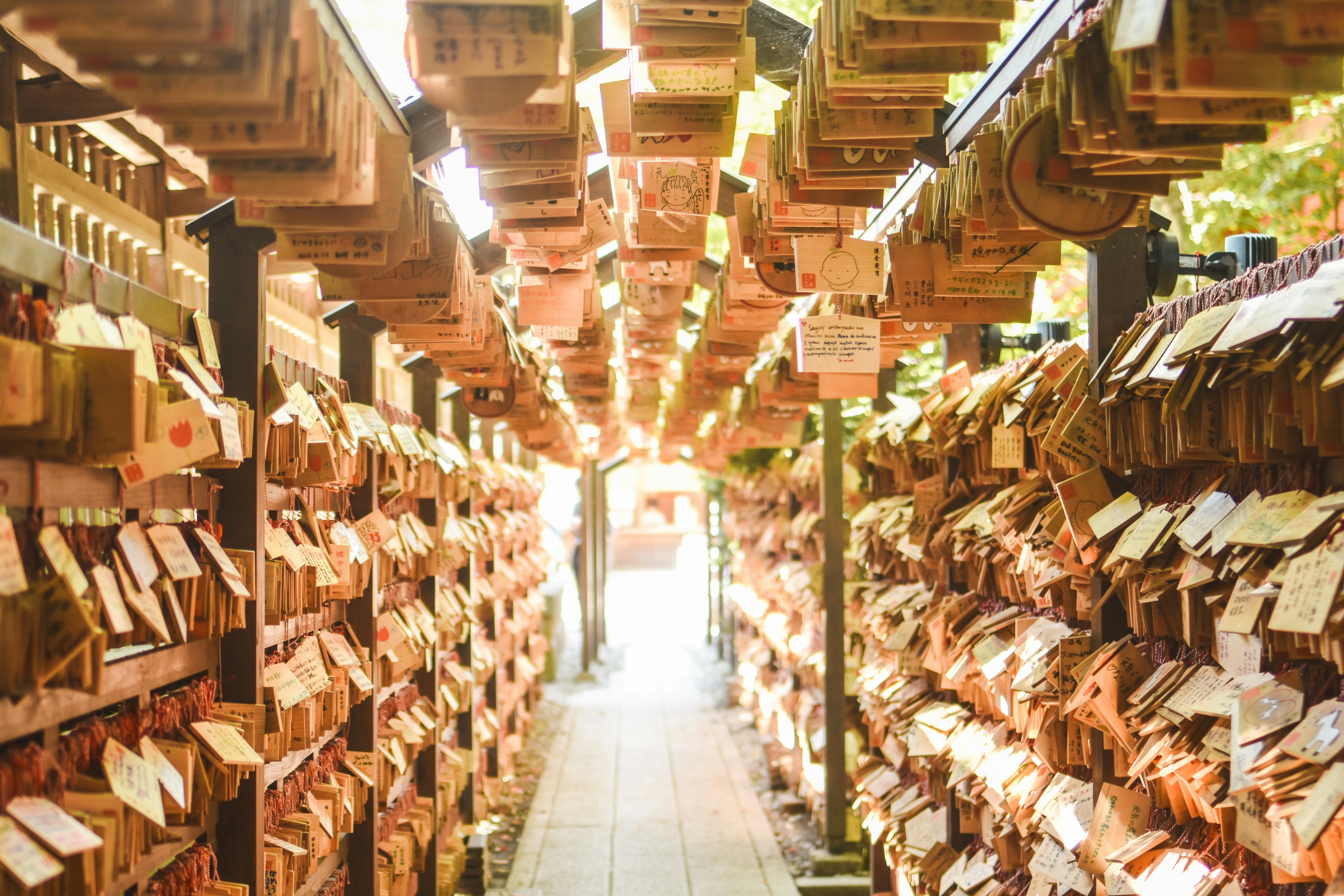 Sunlit Corridor of Cards: A Quiet Alley in a Card Shop