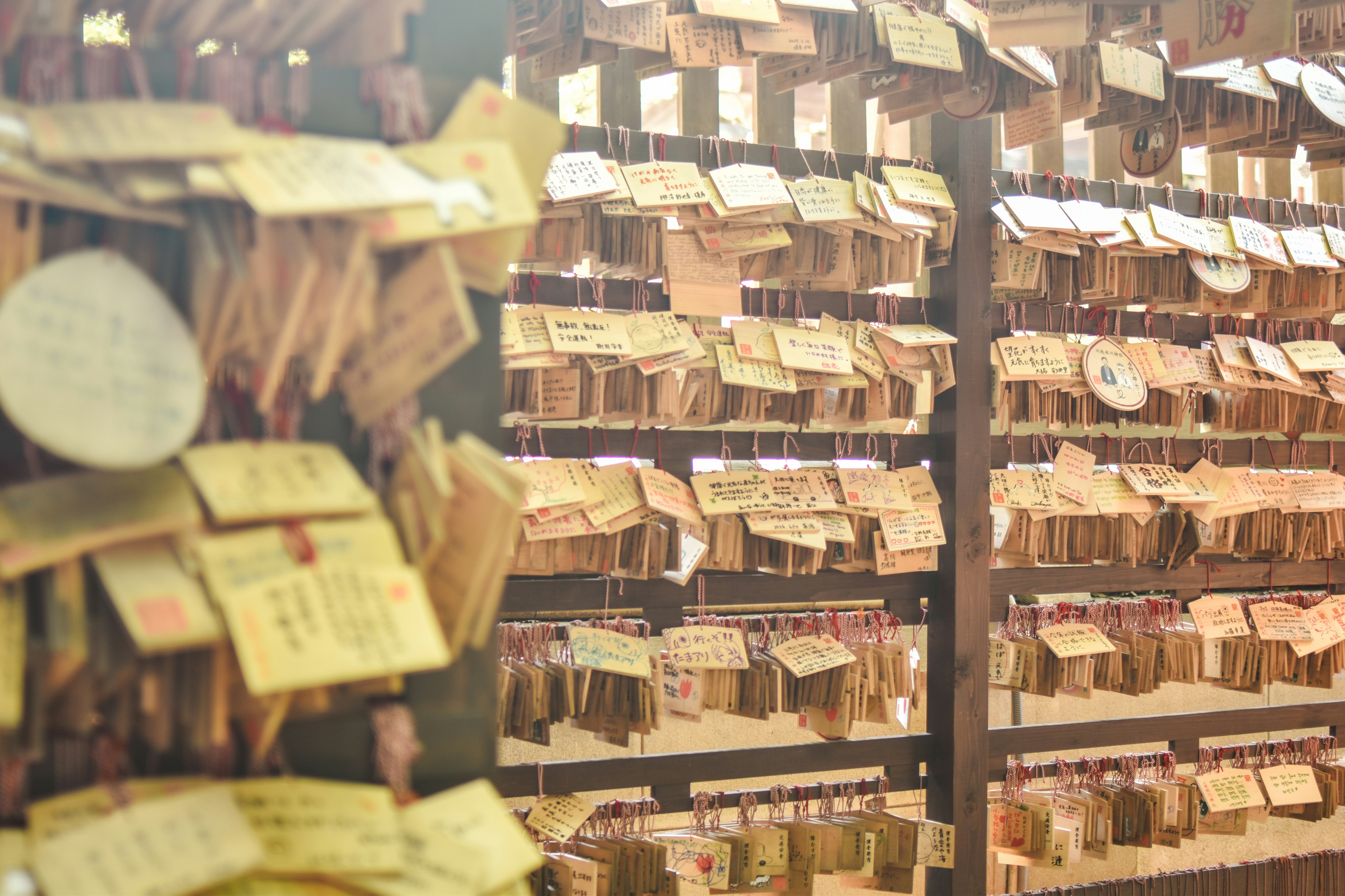 Whispering Labels: A Forest of Notes in Warm Light