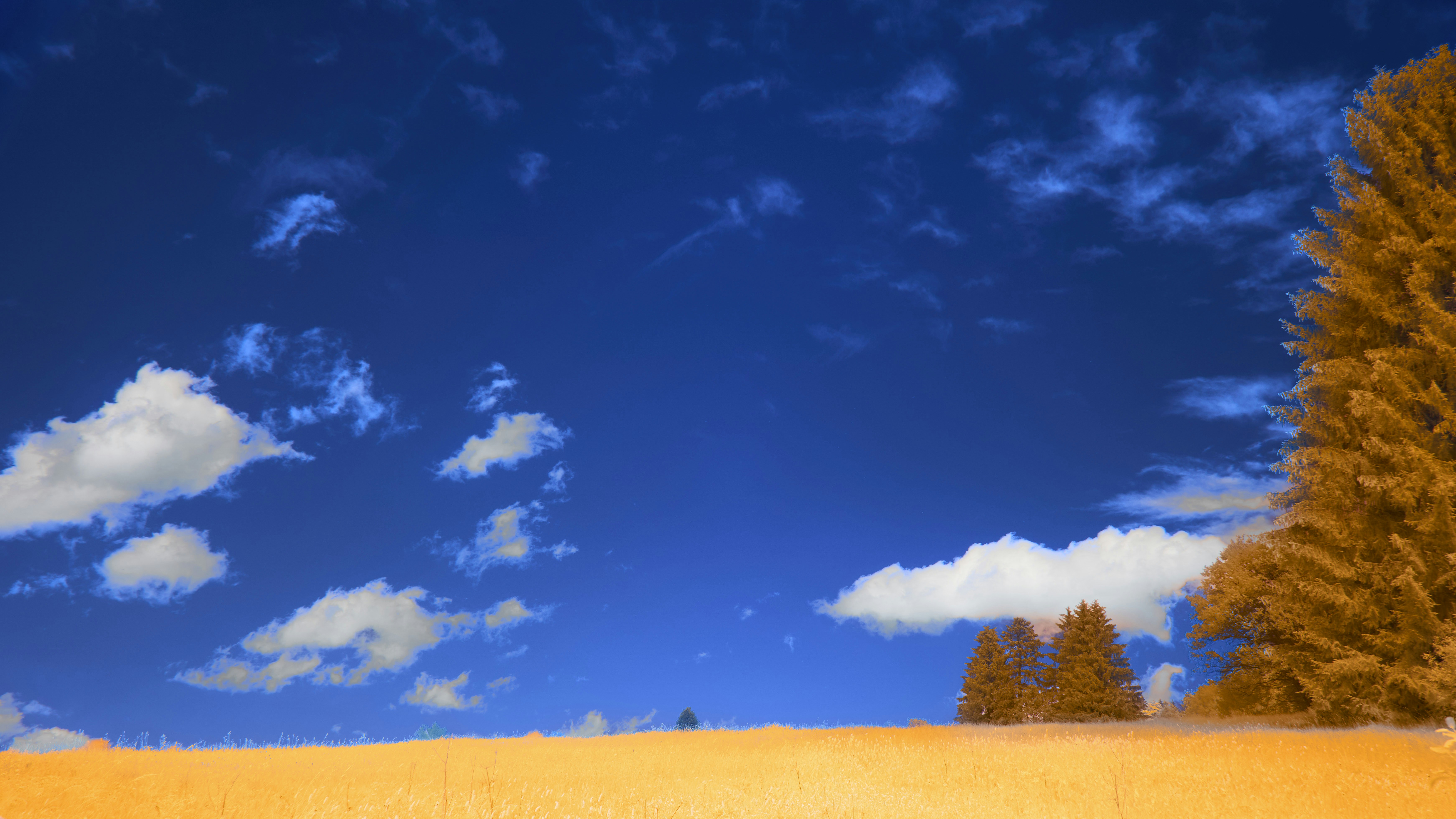 Photo by Wolfgang Hasselmann with Sony Alpha 7 IV