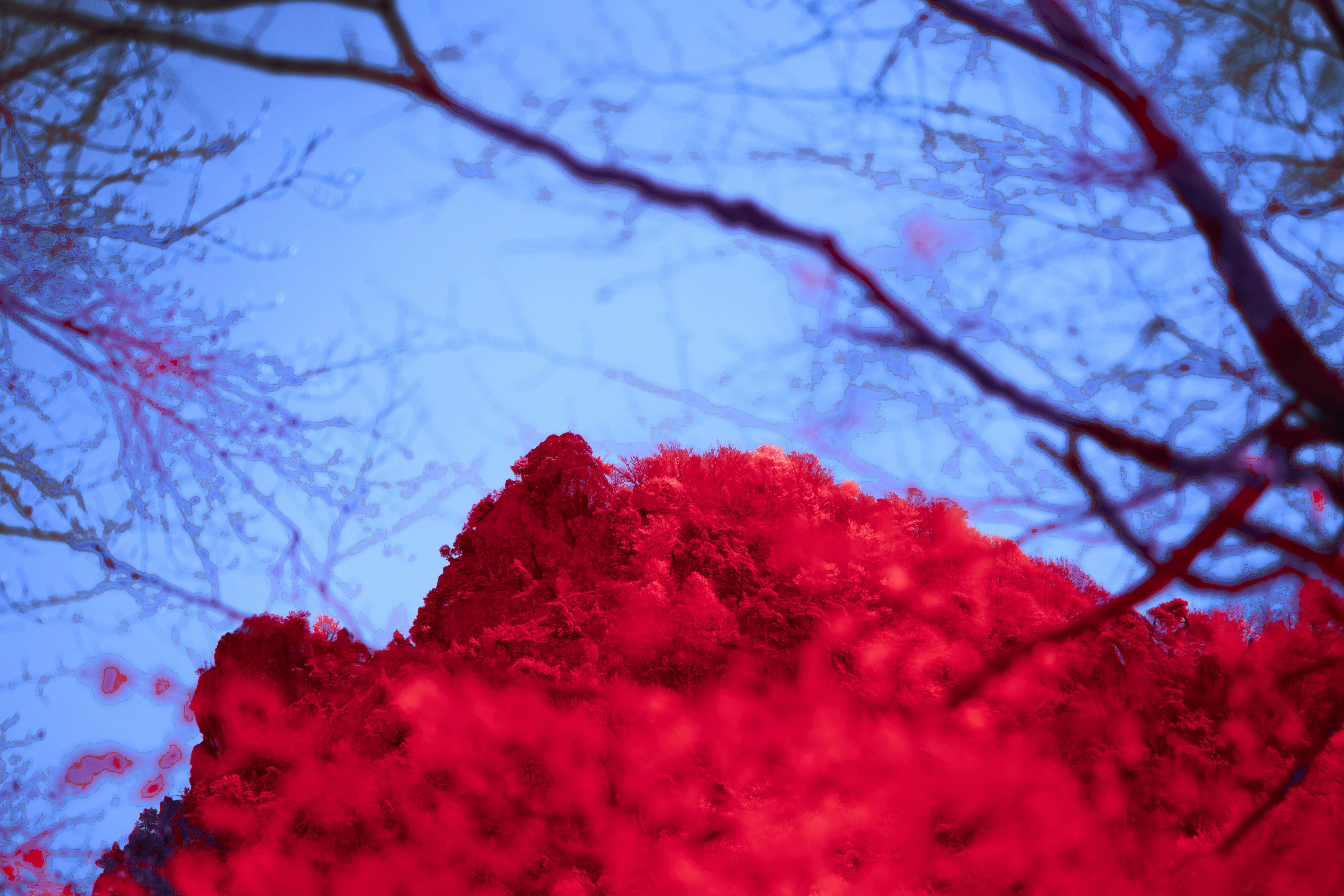 Red Cloudscape Under a Vivid Sky