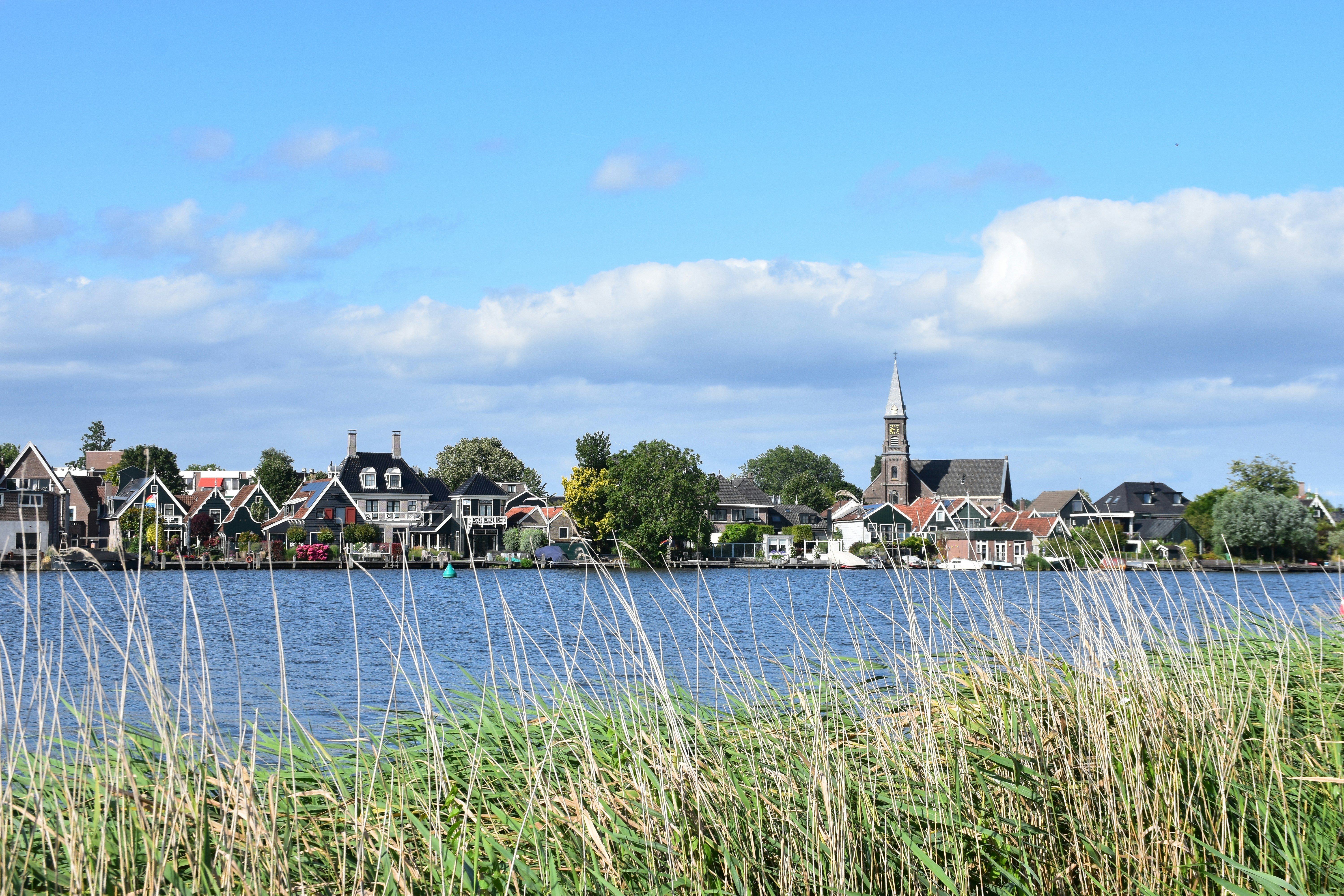 Coastal village across a calm river with tall reeds in the foreground