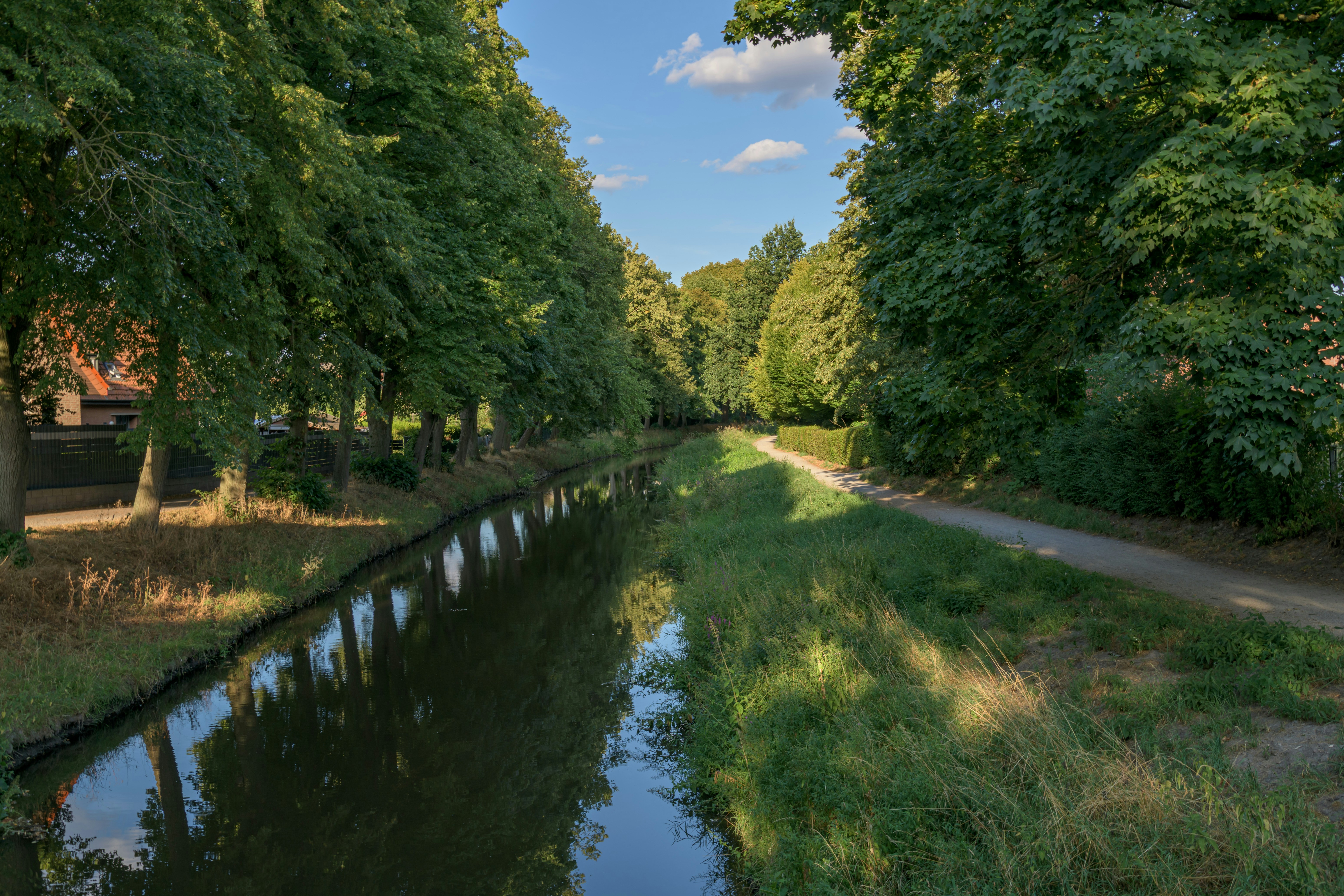 Sunlit Canal Corridor Framed by Lush Trees