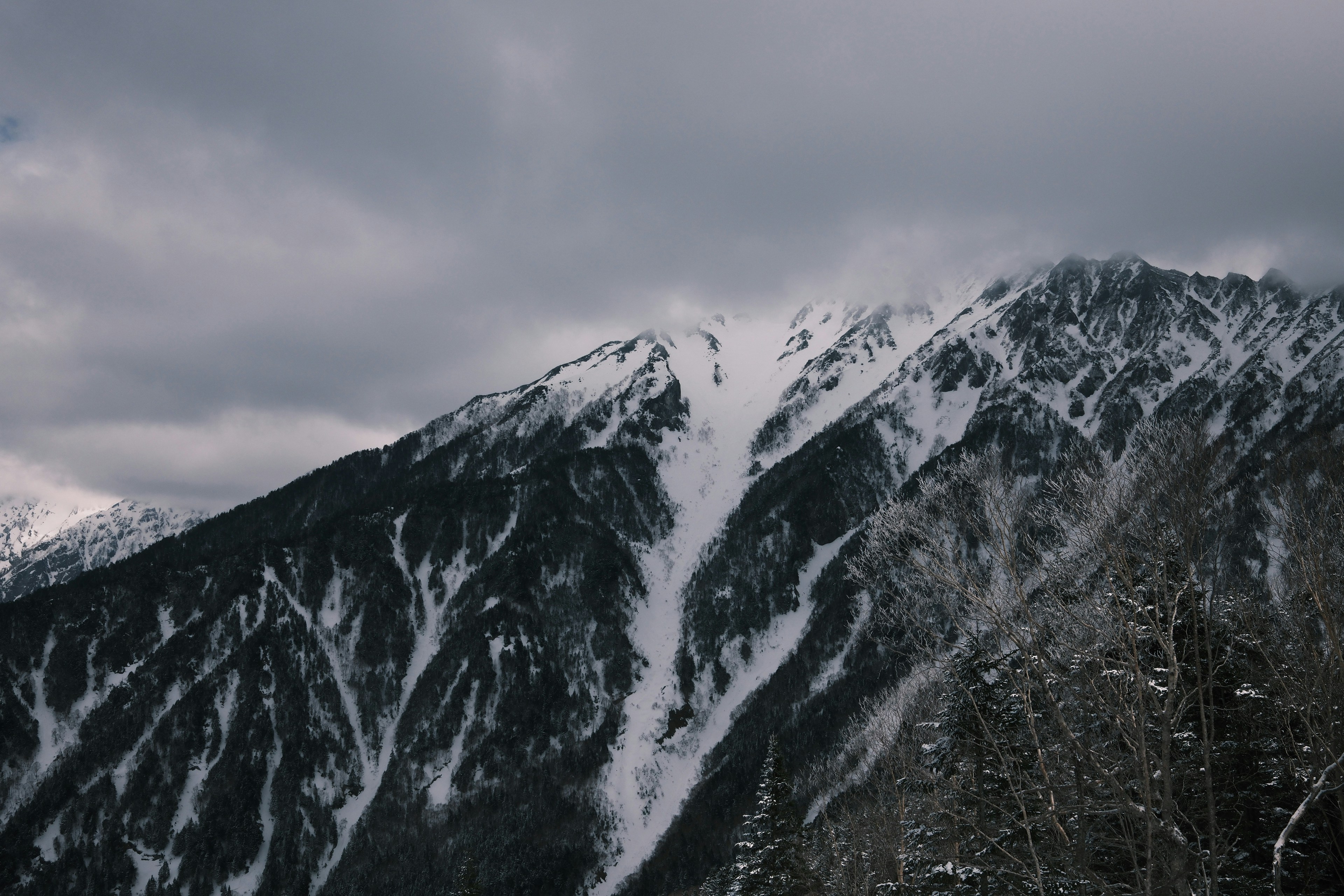 Snow-slashed mountain ridge under moody clouds, with a forested slope at the base hinting cold, rugged terrain.