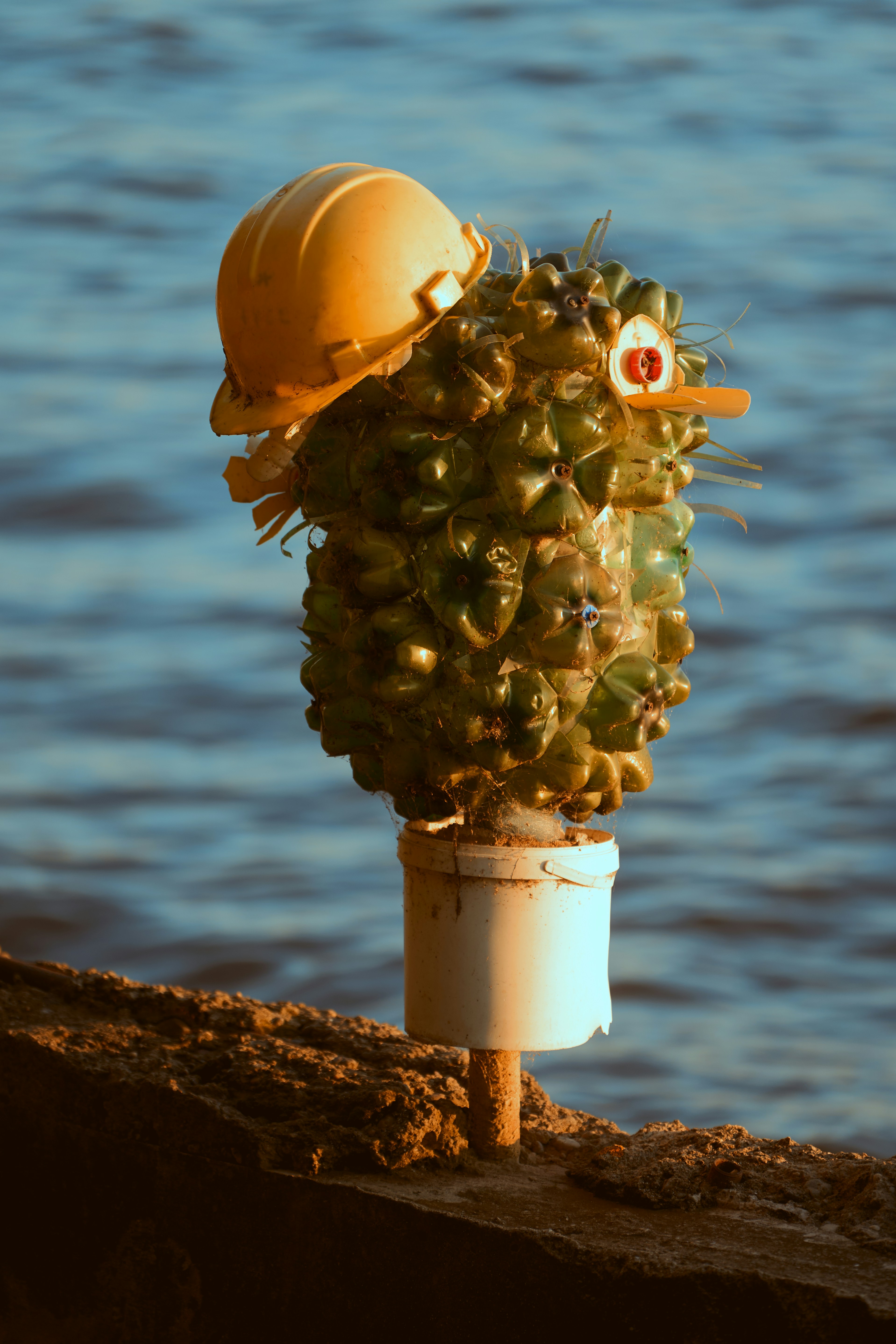 Desert Peek: A Tiny Helmeted Seed atop a Nautical Post