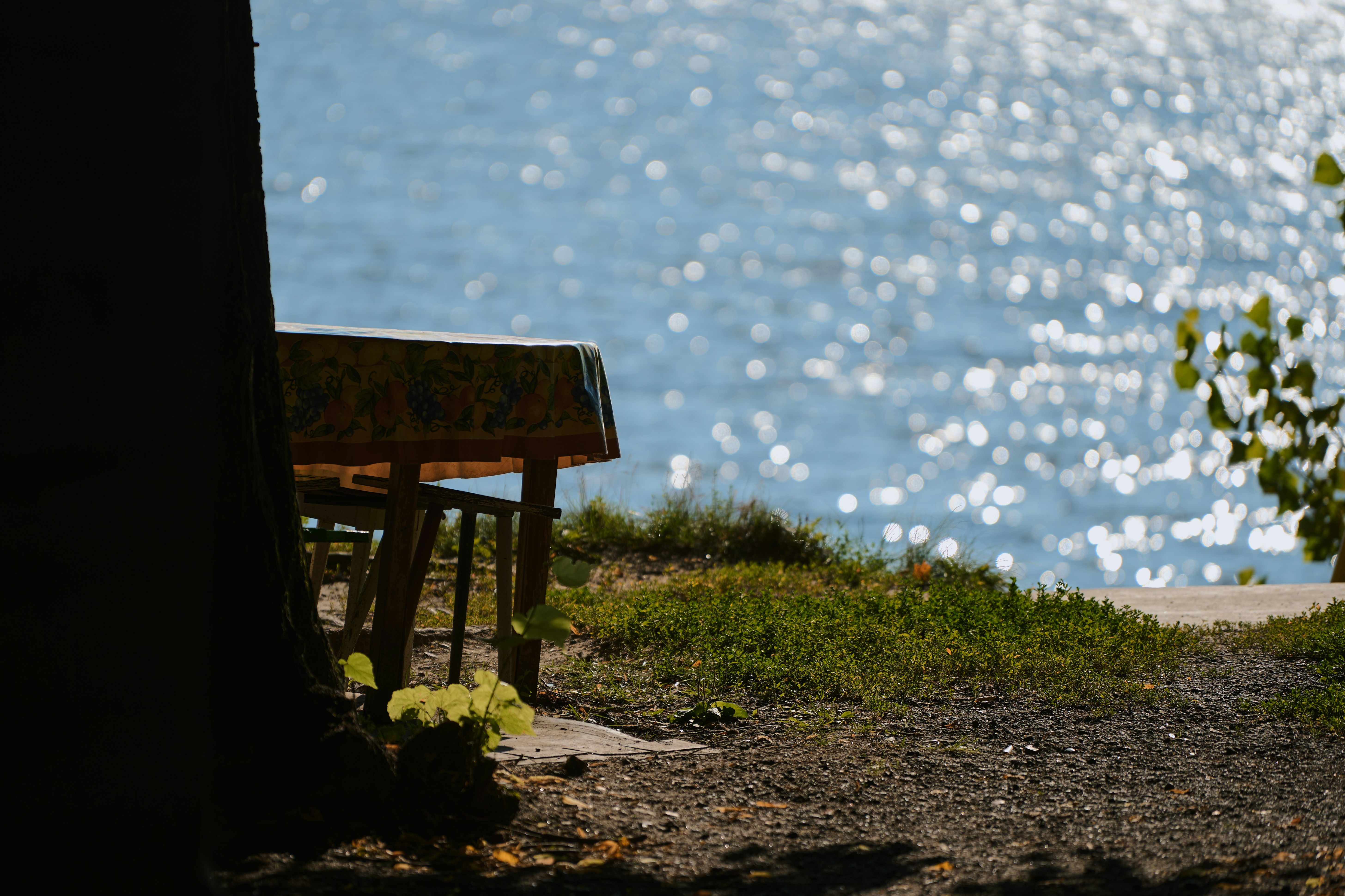 Sunlit Bench by the Sparkling Shoreline
