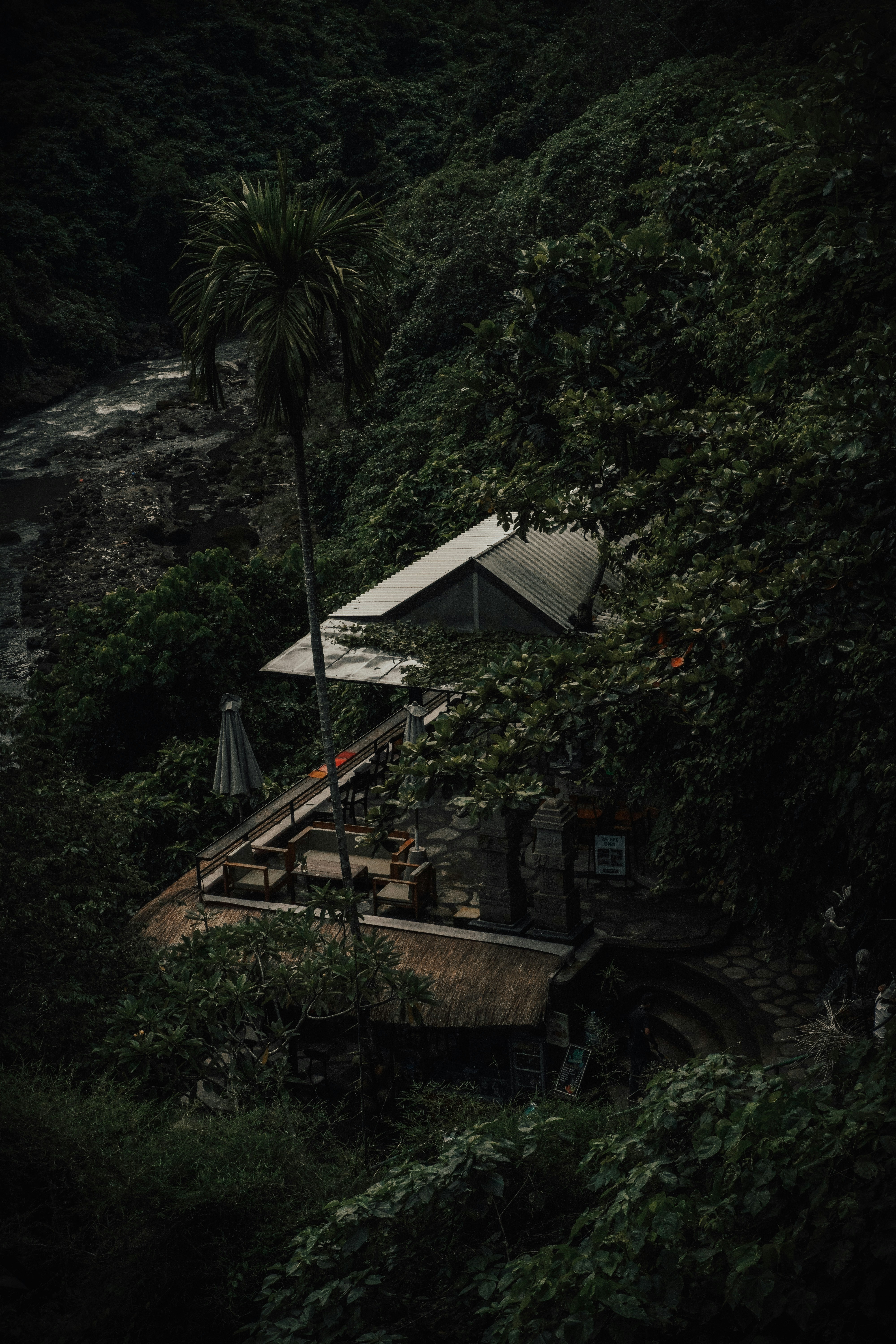 Hidden Oasis: A Quiet Terrace Nestled in the Jungle