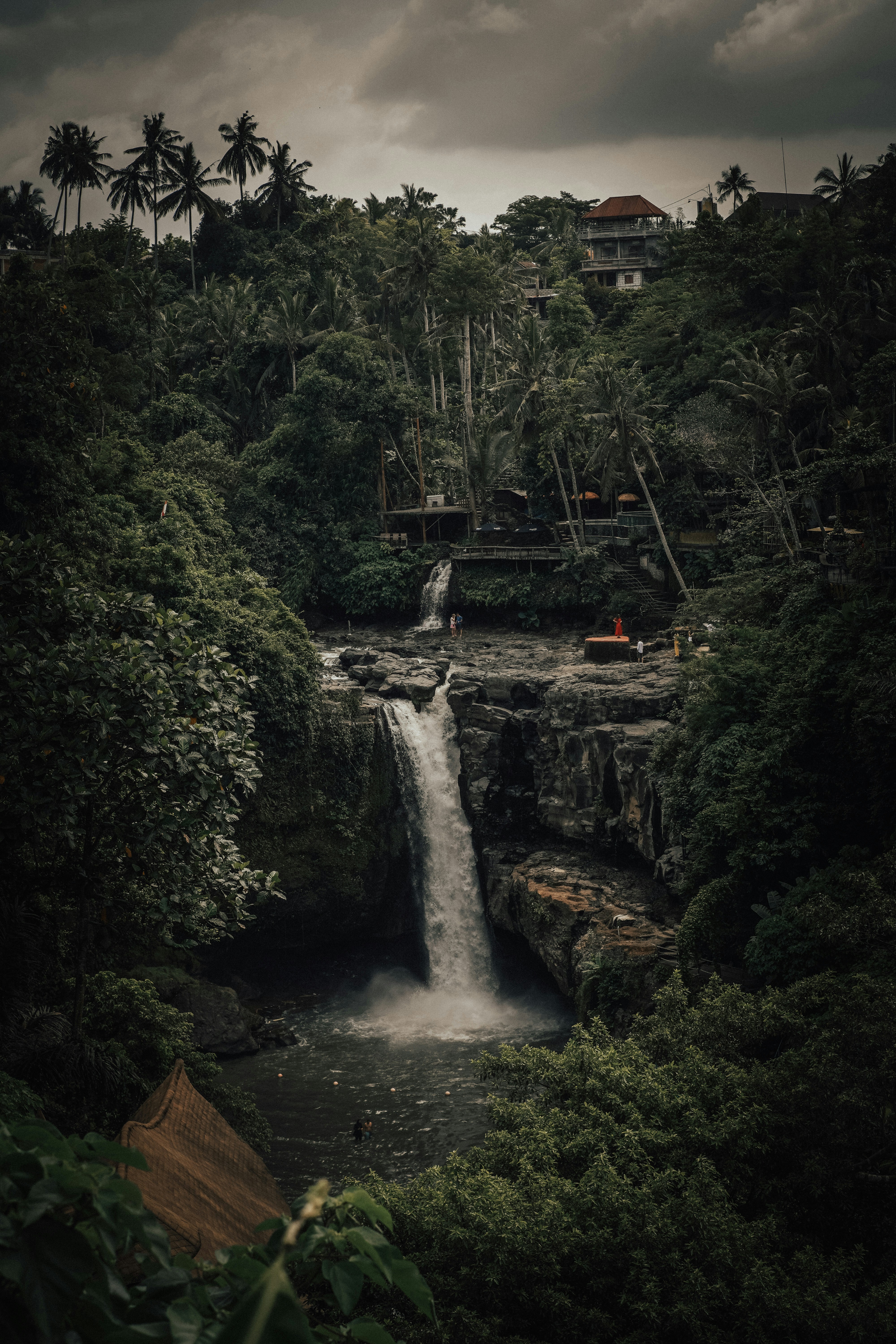 Cascading Secret: A Hidden Waterfall Beneath a Jungle Terrace
