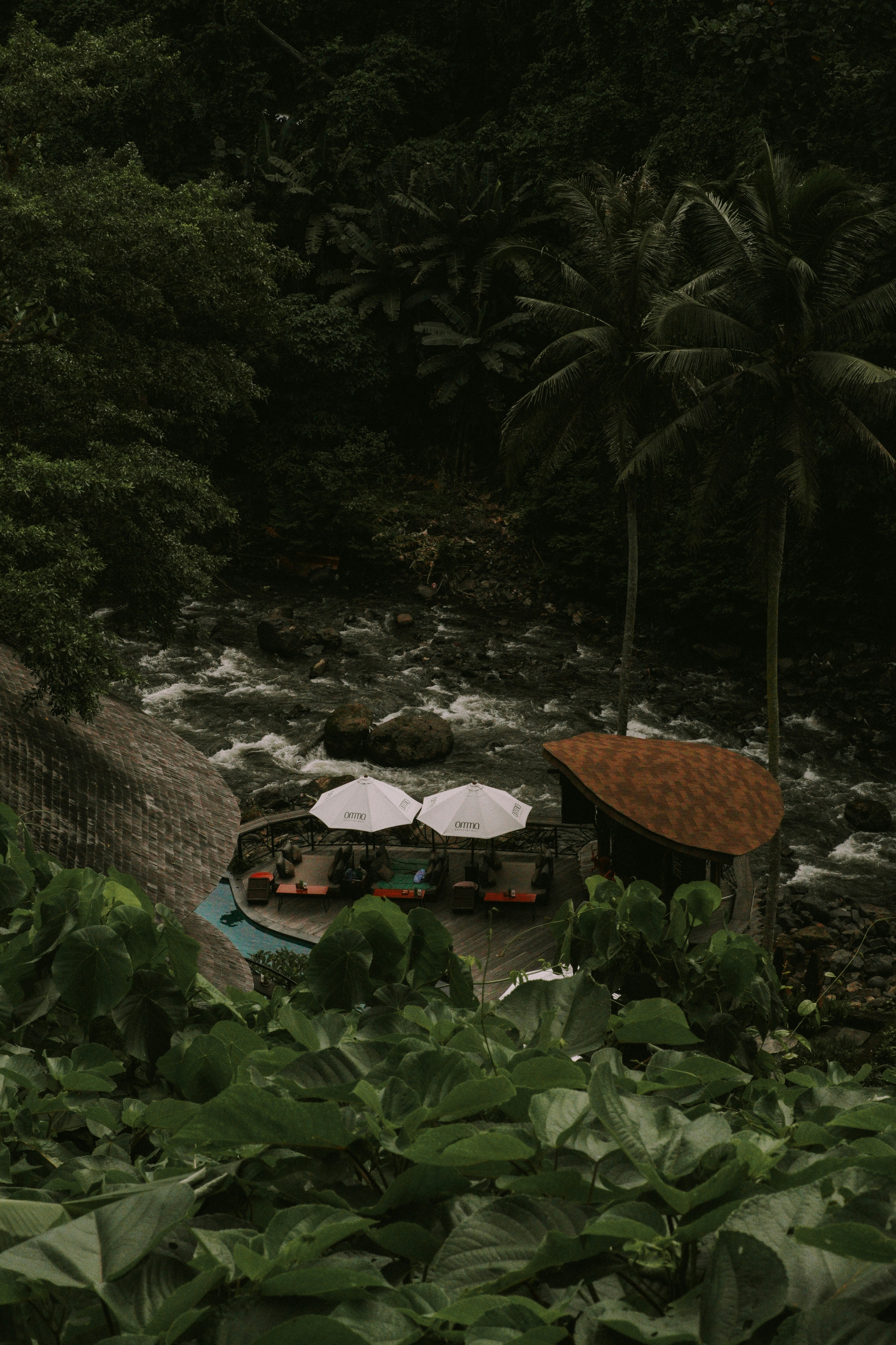 Palm-Canopy Terrace by the River: Quiet Resort Nook