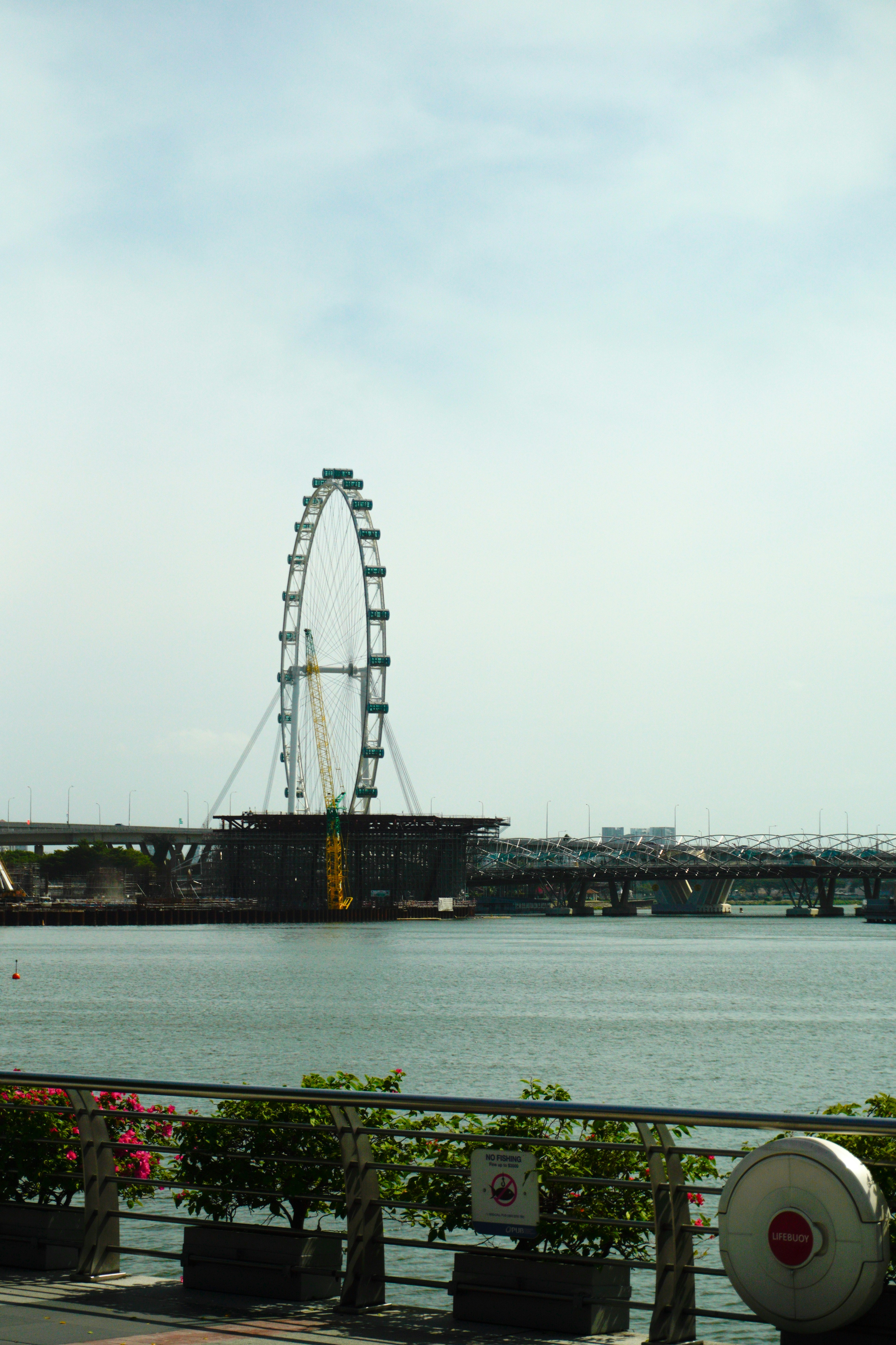 Observatory on the Waterfront: A Ferris Wheel Emerging from the Bridge