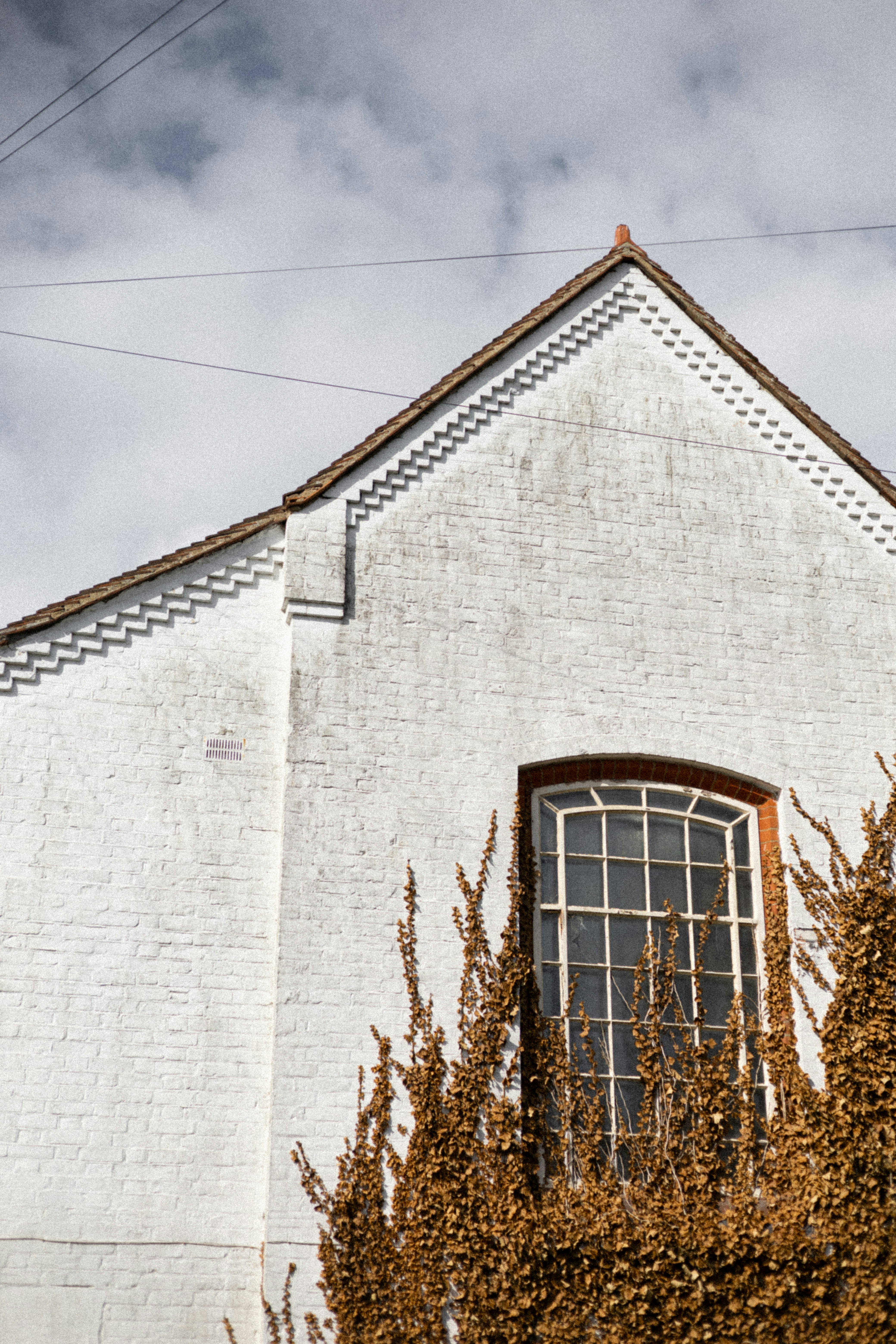 Sunlit Gable Overgrown Window: A Weathered White Brick Facade