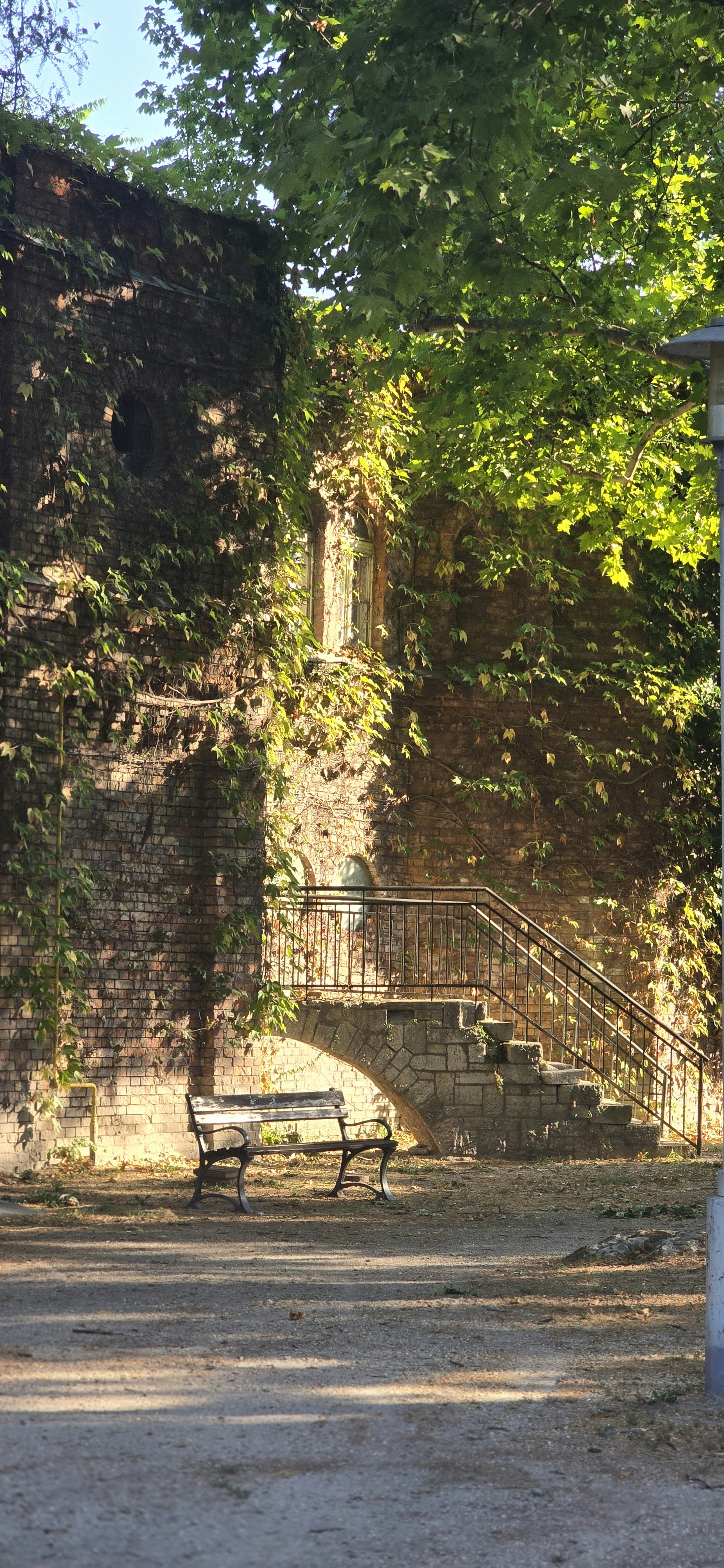 Sunlit Archways and Ivy: Tranquil Park Bench Under an Ancient Wall