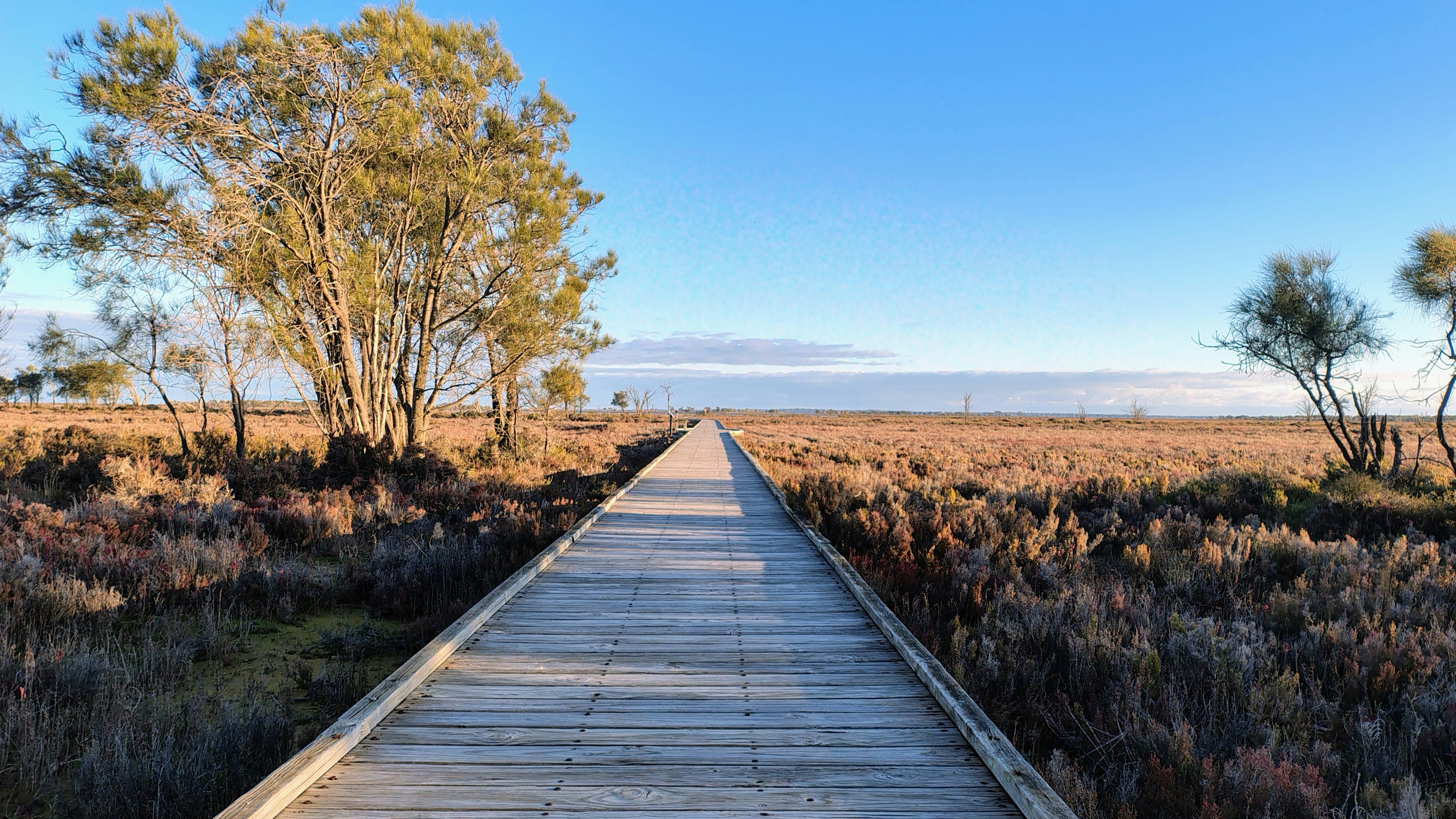 Boardwalk to the Horizon: Quiet Prairie Path