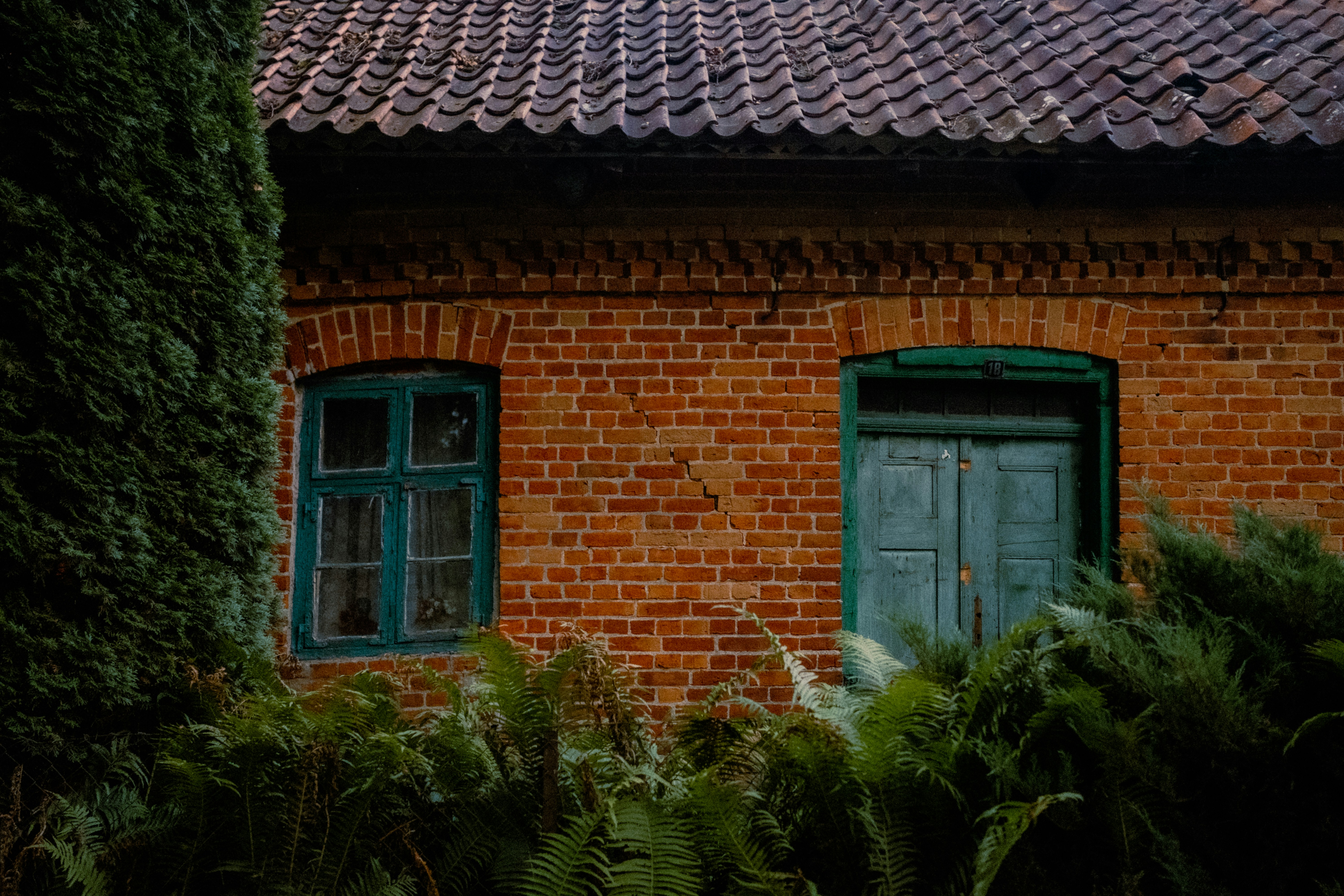 Overgrown Brick Cottage: A Quiet Facade Between Ferns and Fern-Lace