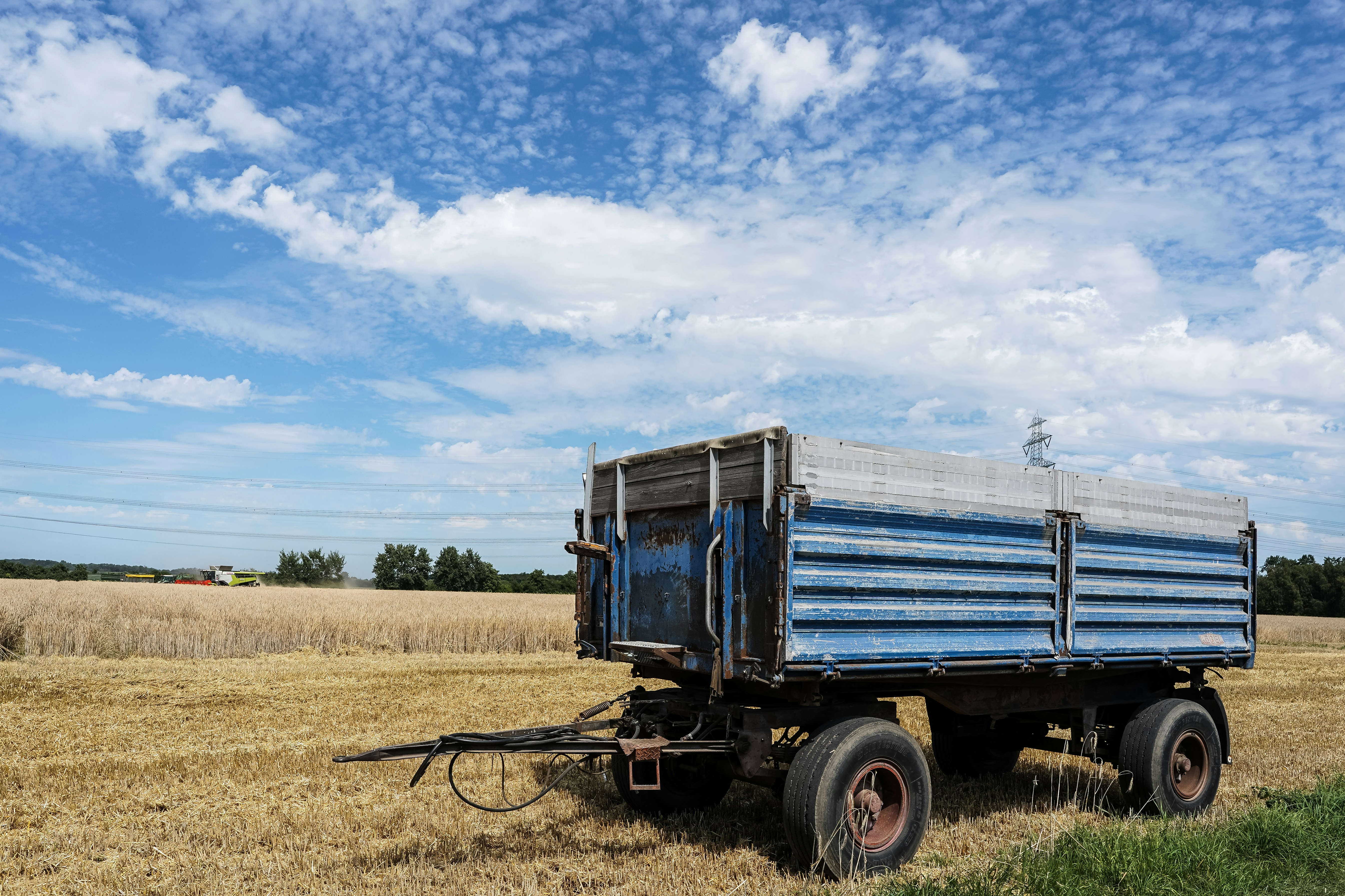 Dusty Horizon: An Old Blue Wagon resting in a Golden Field