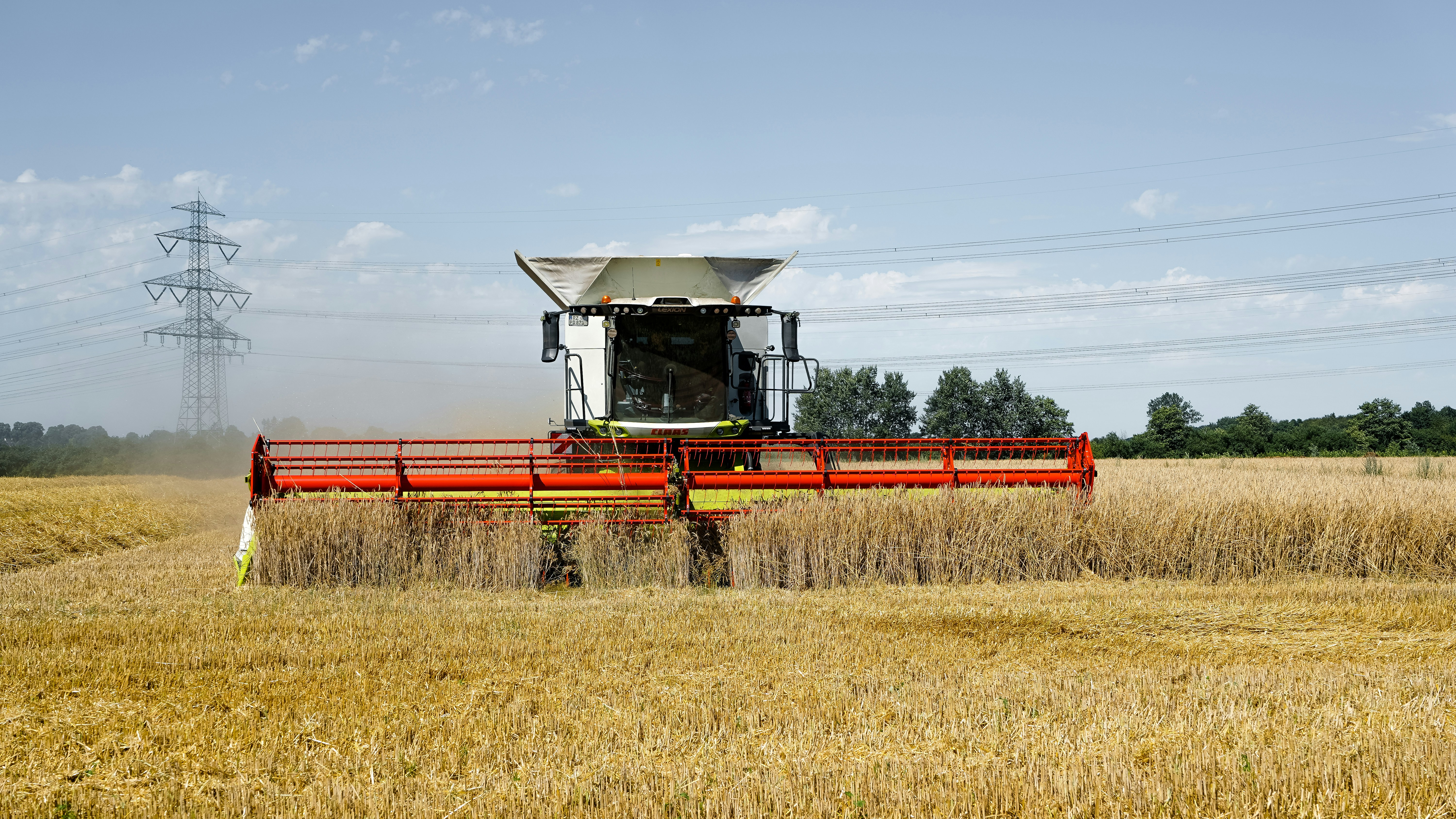 Harvesting Giant: A Wheat Harvester Rolls Across the Golden Field