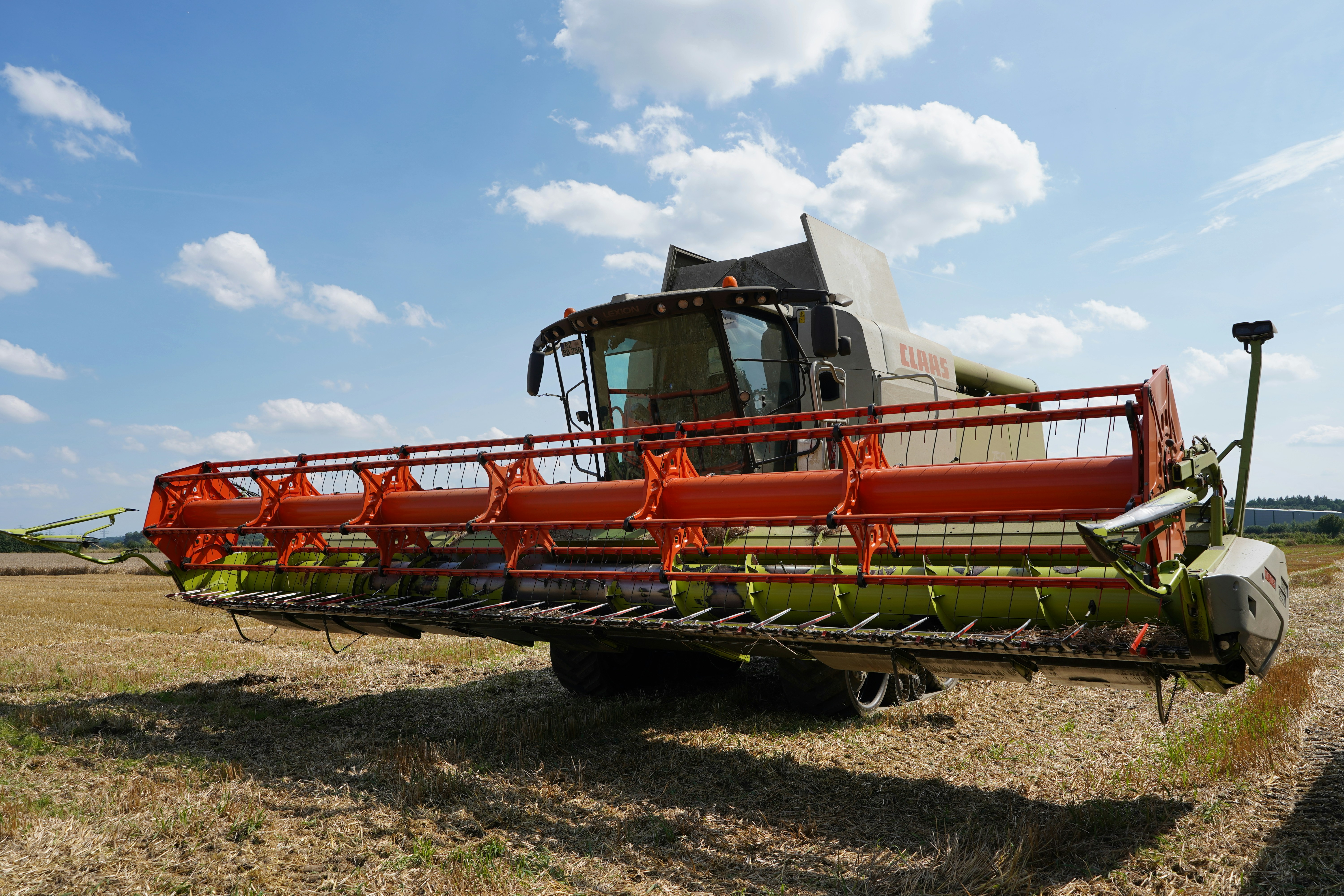 Red harvester at harvest daybreak