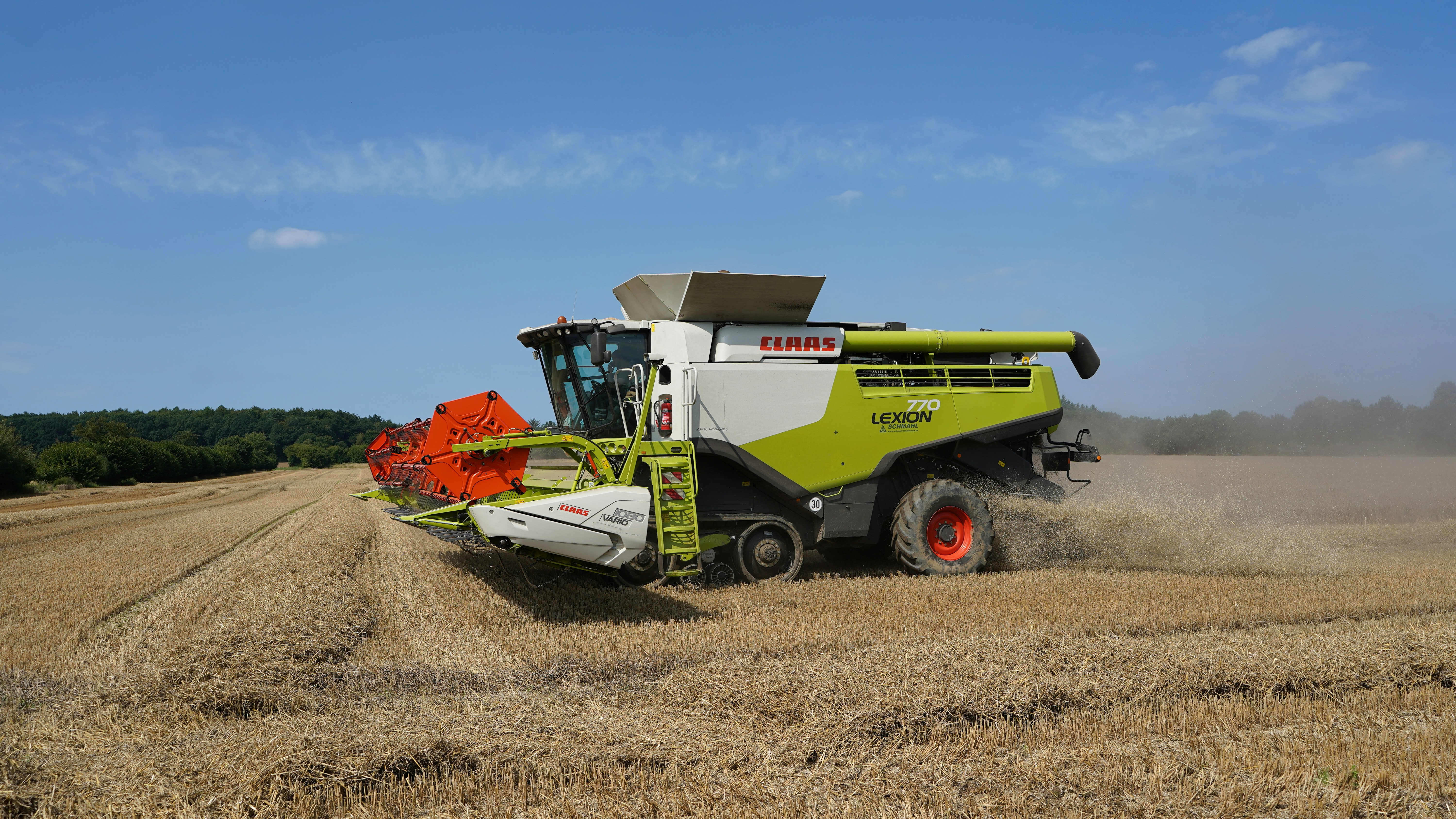 Harvest Pulse: A Green Lexion Combine Carves Through a Golden Field
