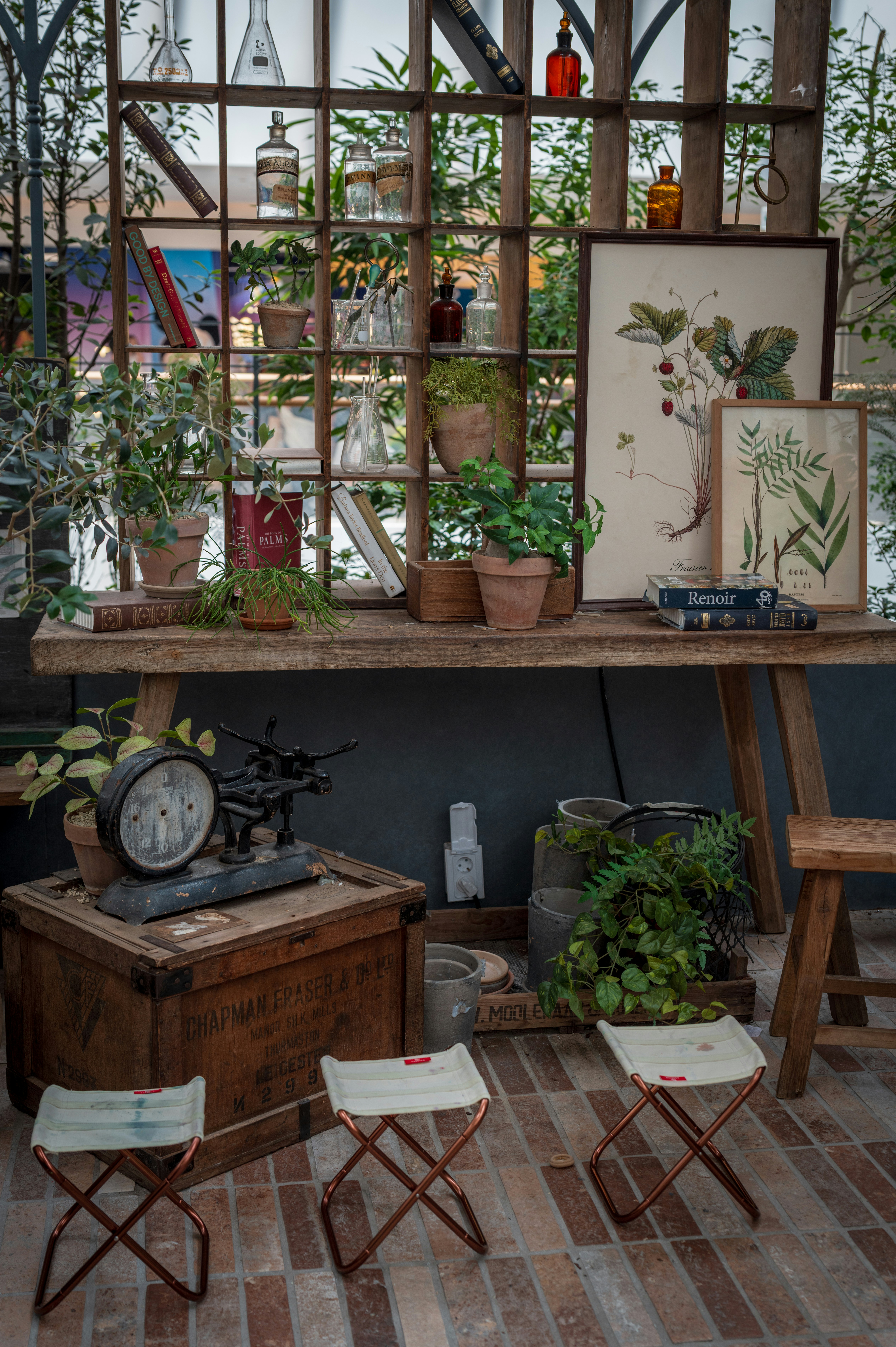Herbarium Studio: A Quiet Corner of Plants, Books, and Vintage Tools