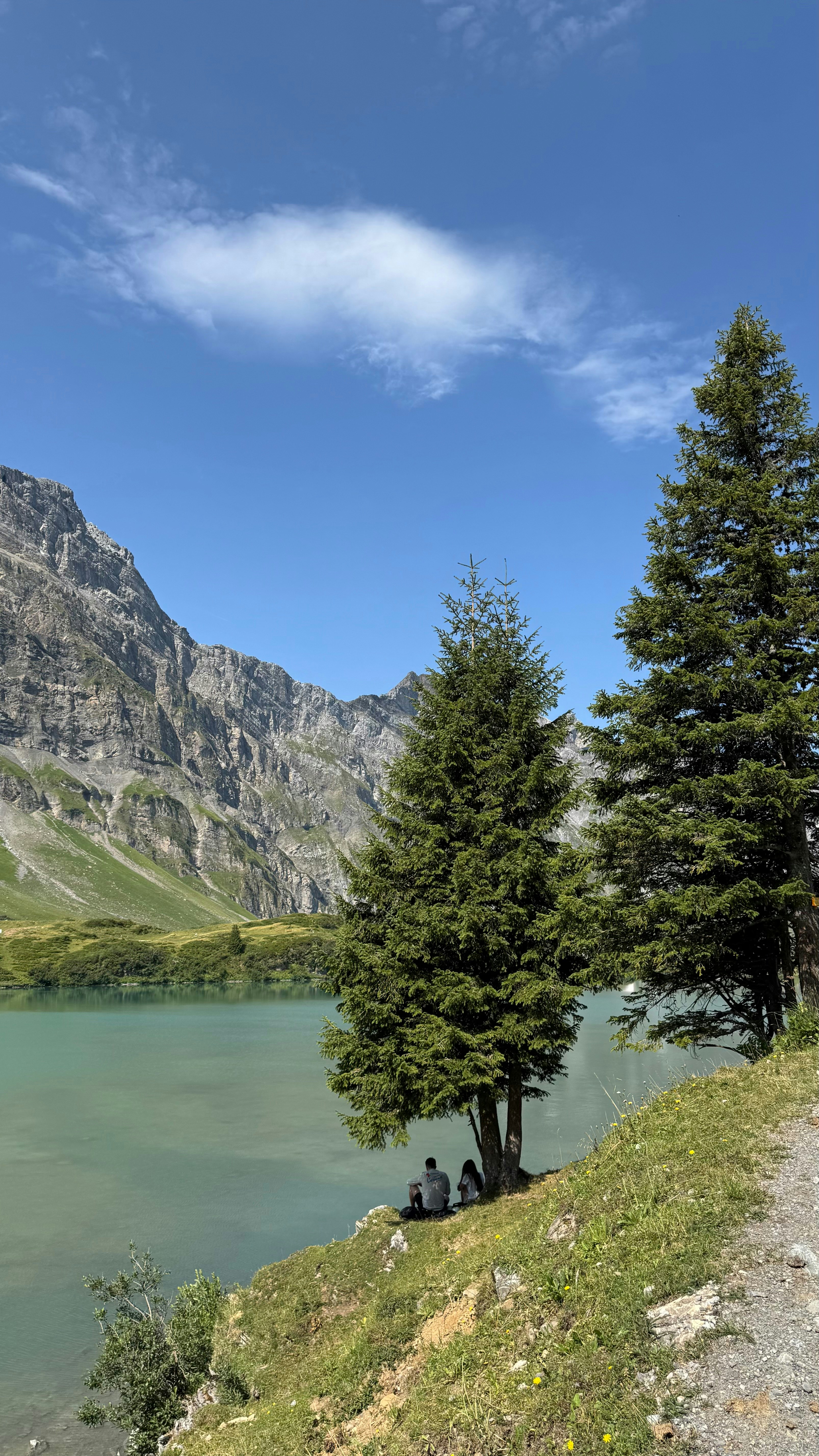 Lakeside Solitude beneath Alpine Pines