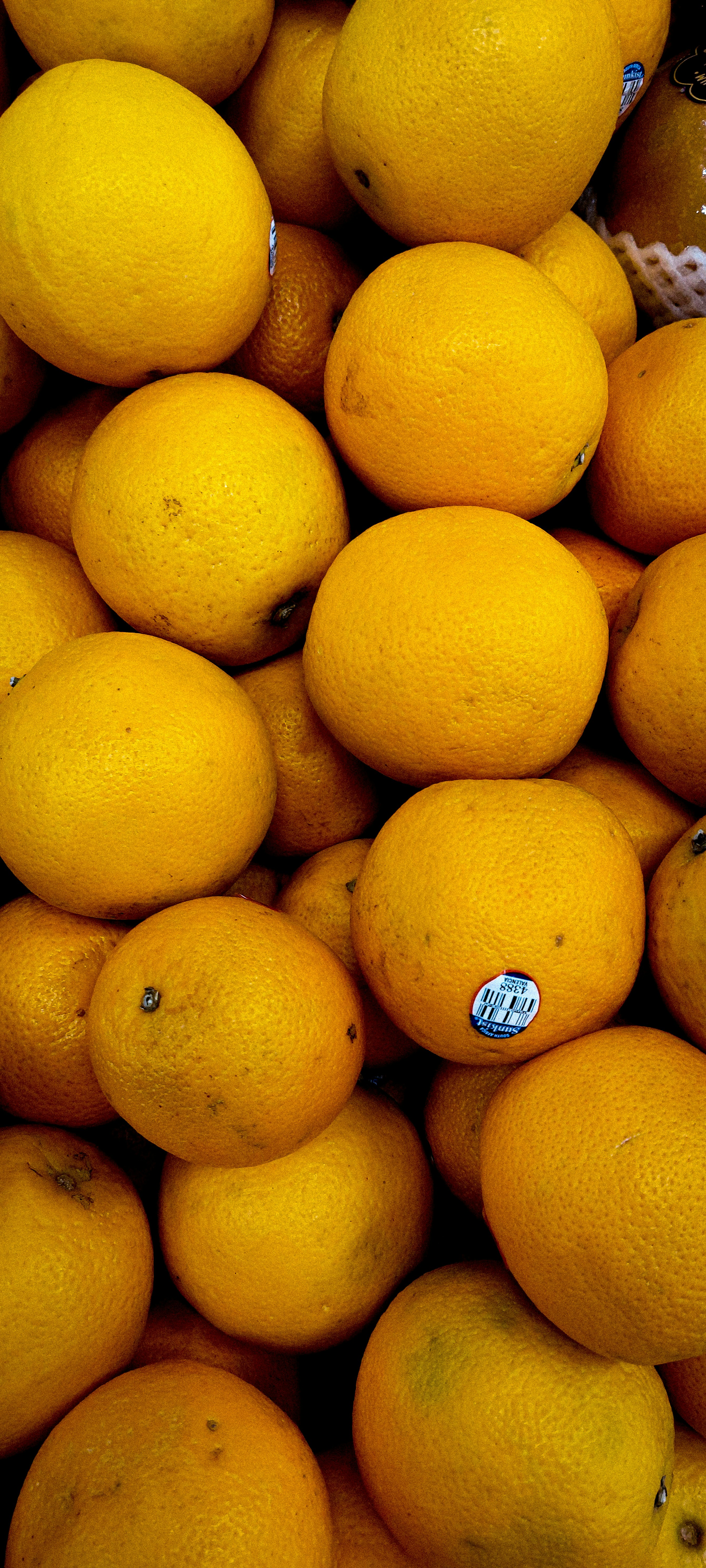 Orange Window: A Close-Huddle of Citrusy Orbs
