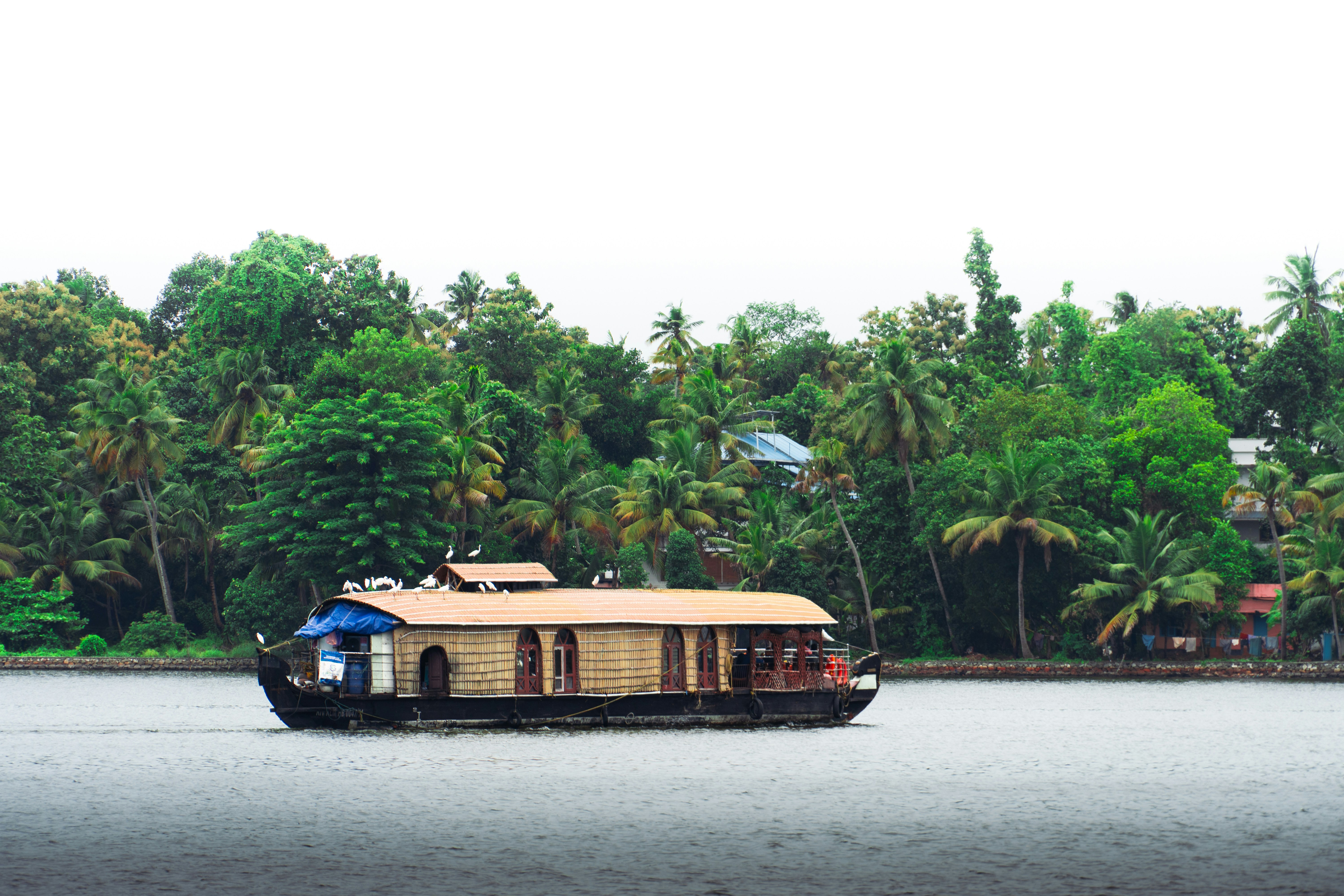 A Floating Heritage: Thatchered Boat Gliding Past Lush Riverside