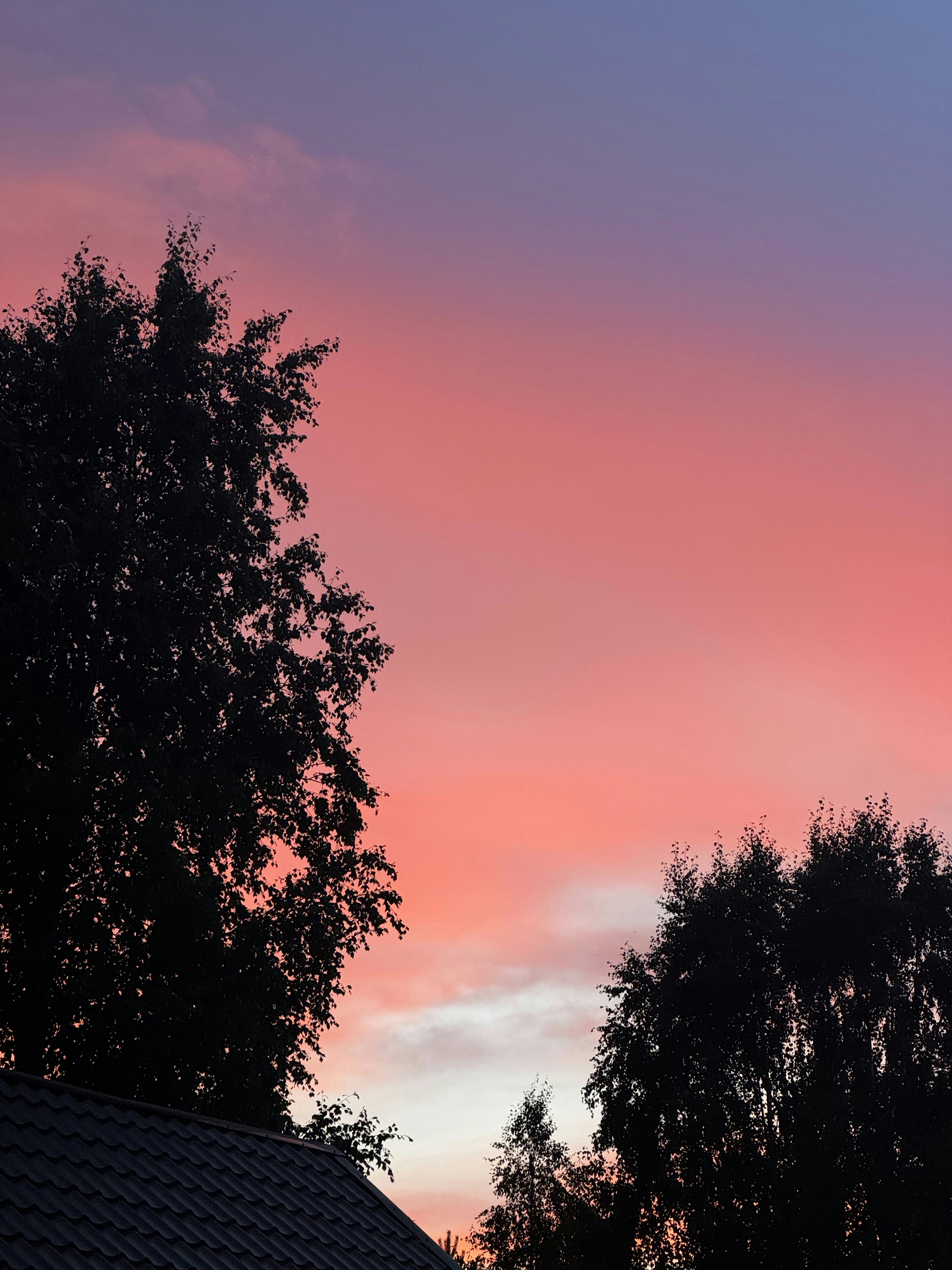 A tranquil sunset sky painted in pink and orange hues silhouettes tall trees and a sloped roof at the bottom, with soft clouds washing the horizon.