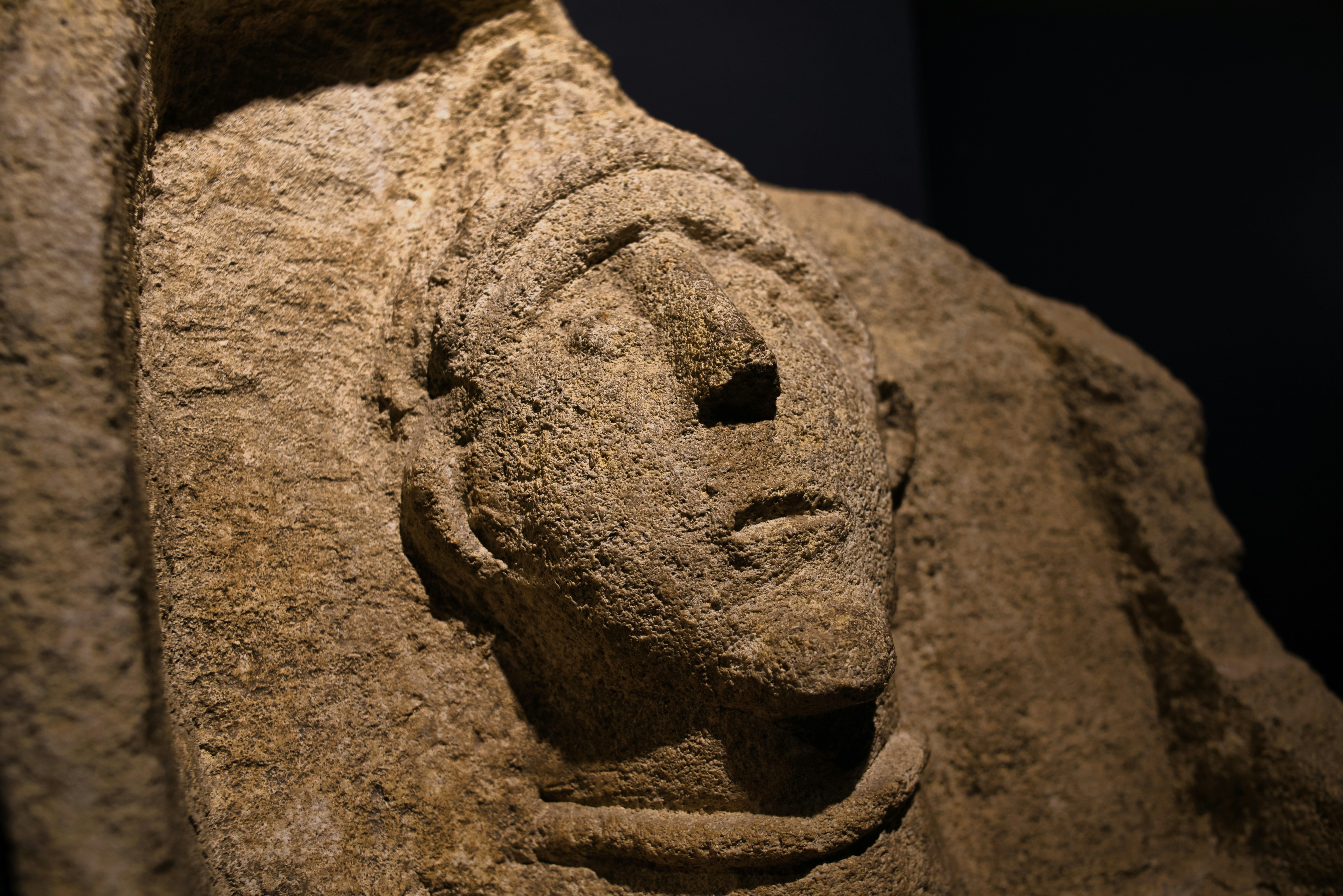 Carved Whisper: A Stone Face Emerges from Shadow
