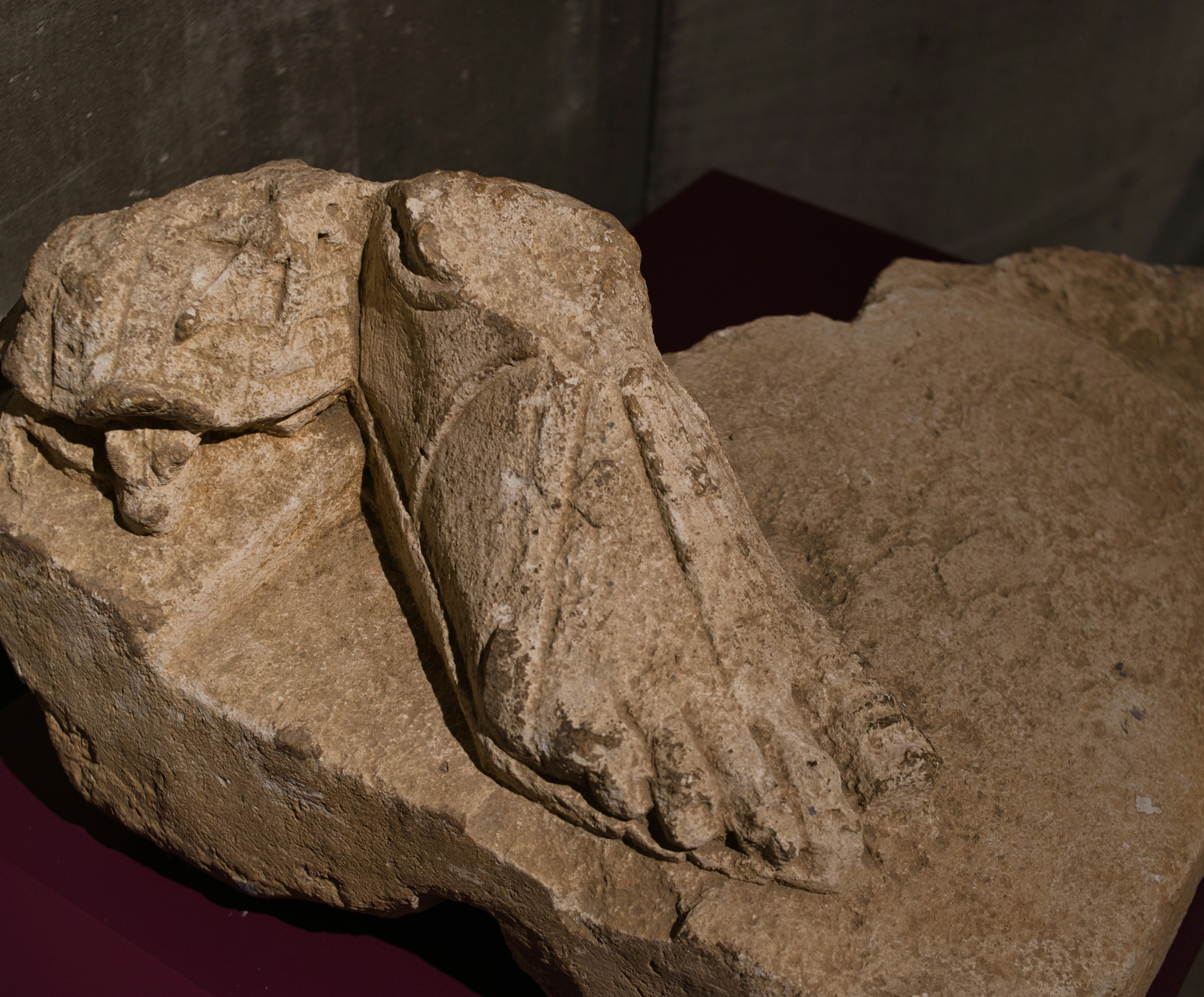 Fossilized Wing of Stone: A Quiet Inference in Shale