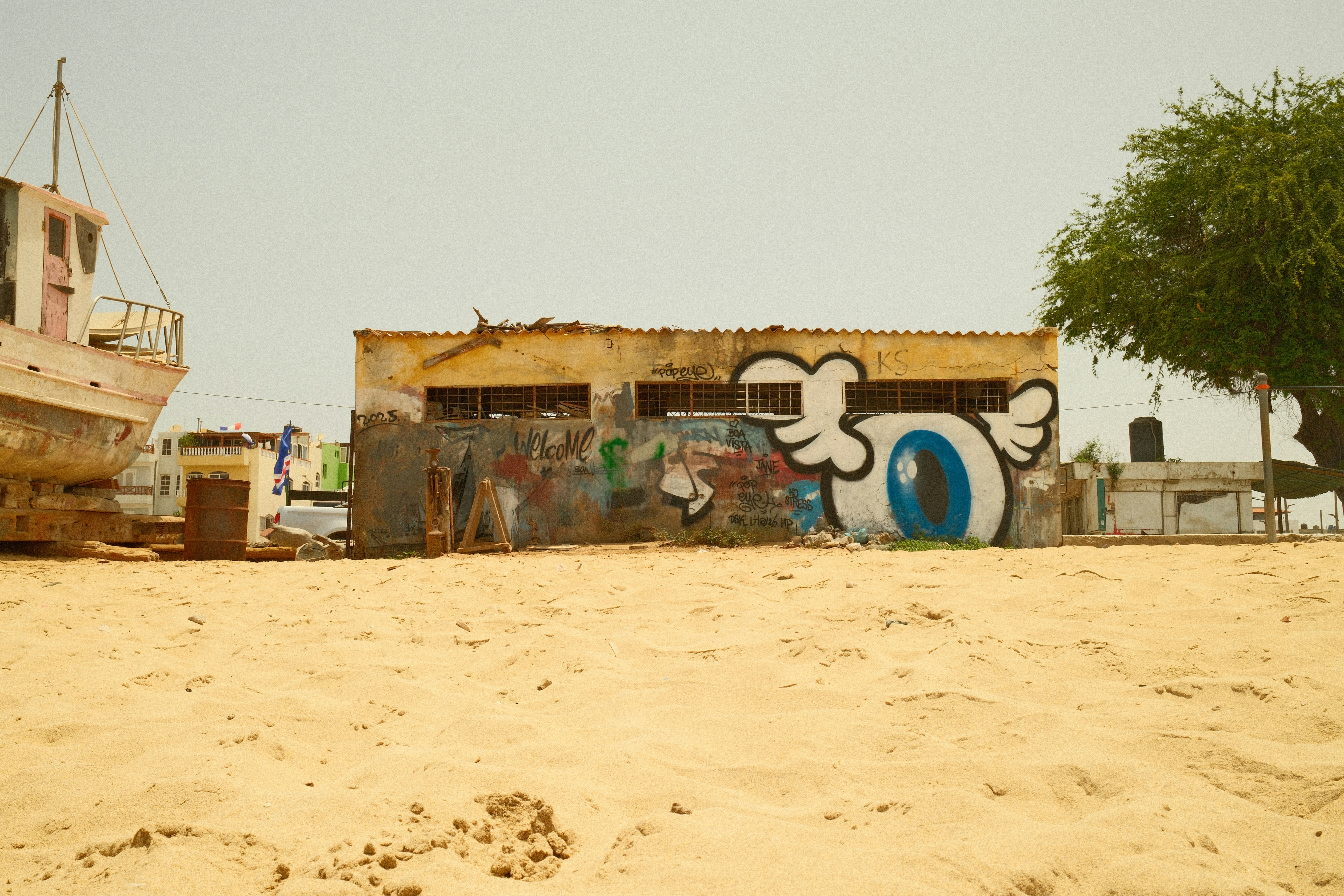 Graffiti Shipyard by the Sand: A Quiet Beachfront with Weathered Walls