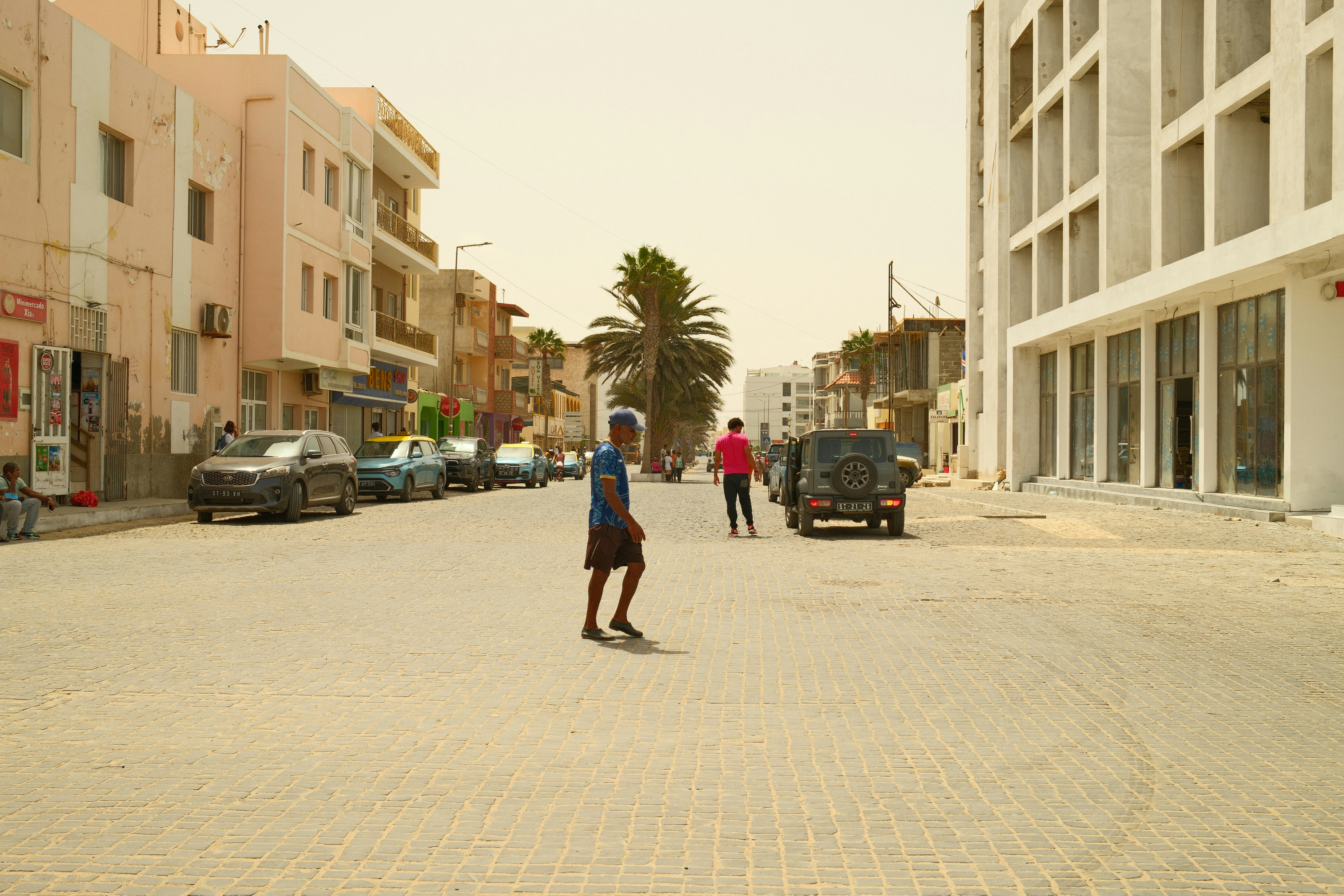 Sunlit Street in Focus: A Quiet Moment under Palm Shade