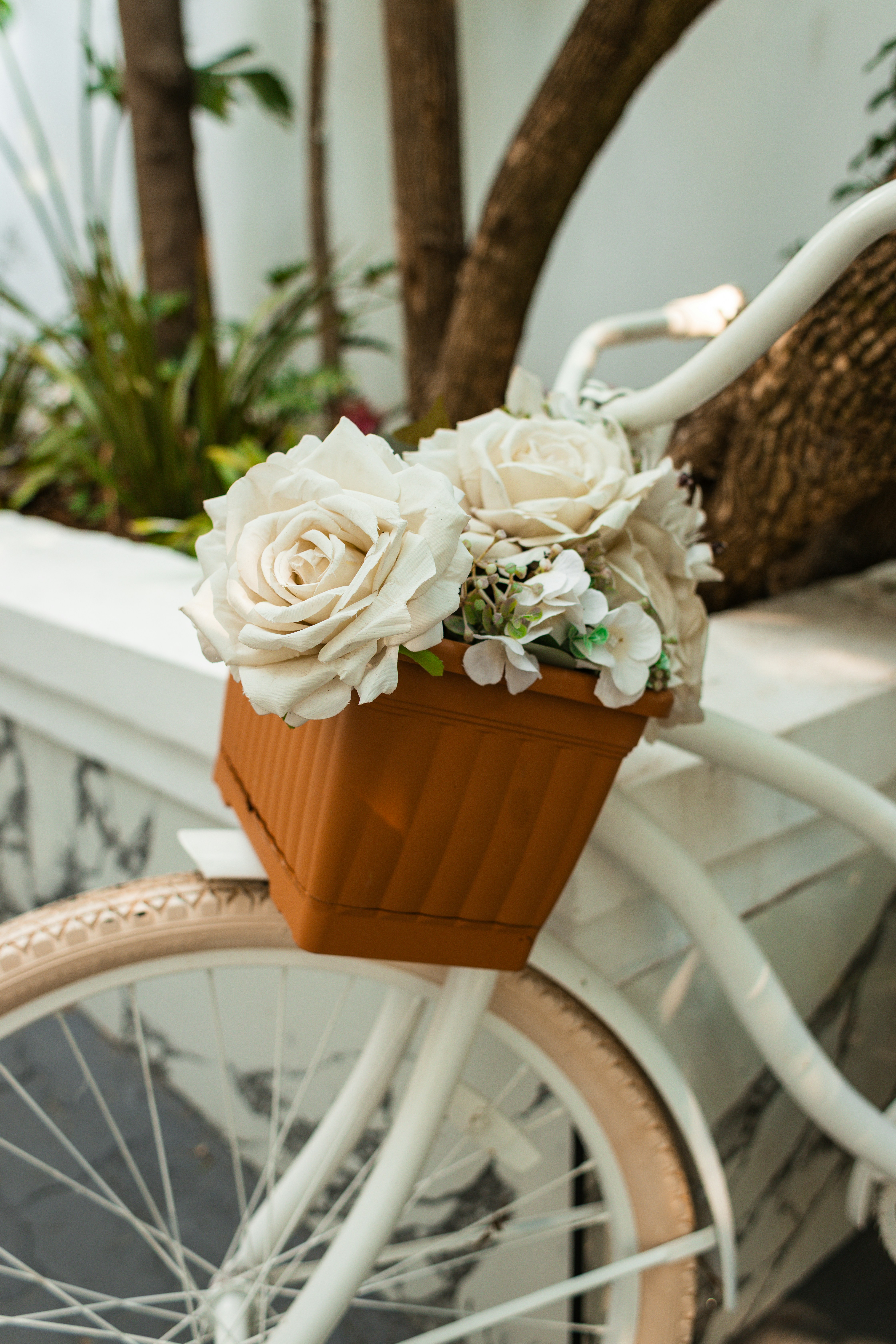 Blossoms in the Basket: A Pale Bouquet Adorns a Vintage Bike