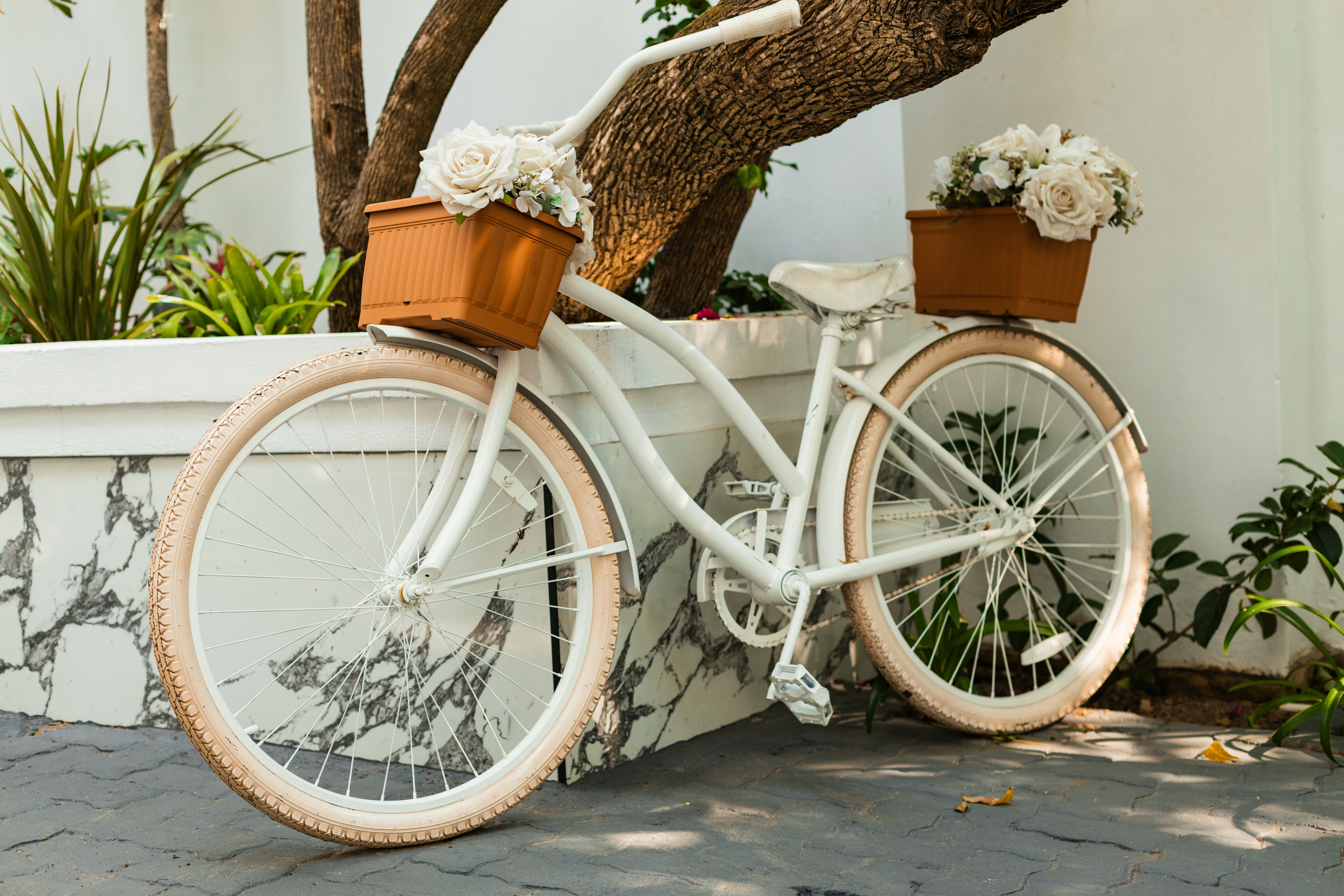 Pastel Bicycle by the Terrace