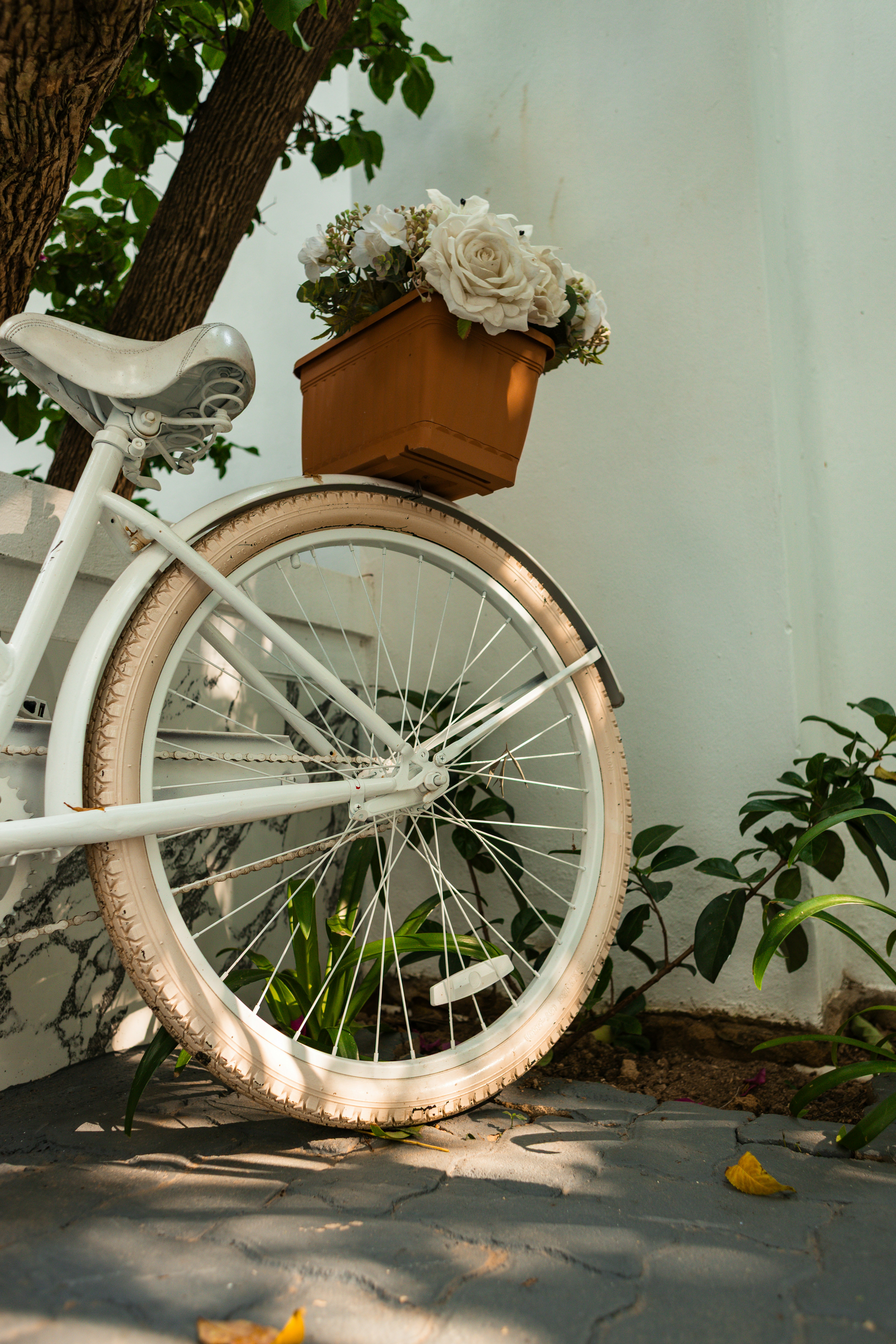 White Bicycle with Floral Basket by a Breezy Wall