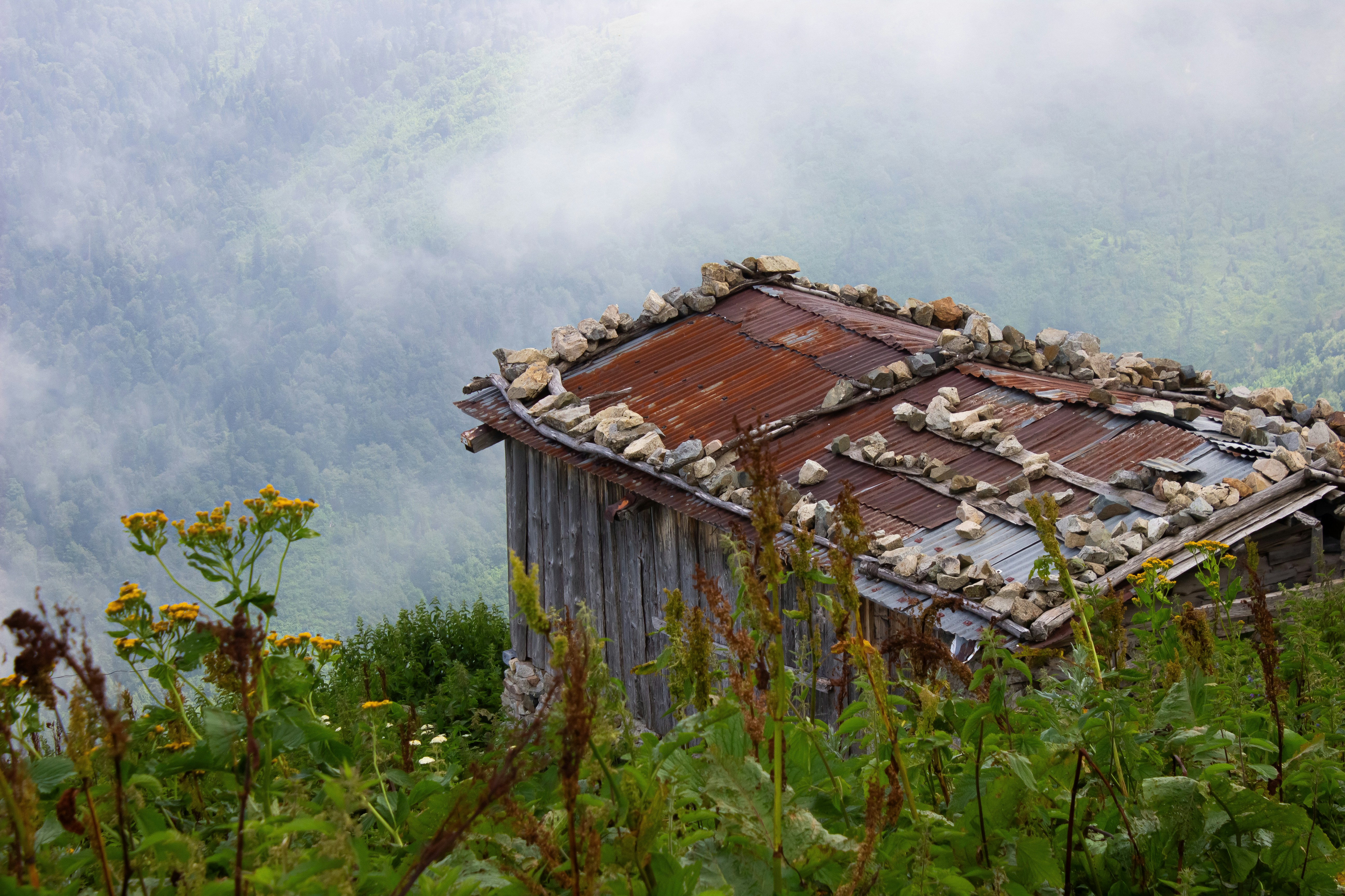 Rusted Roof Overlooking a Misty Valley