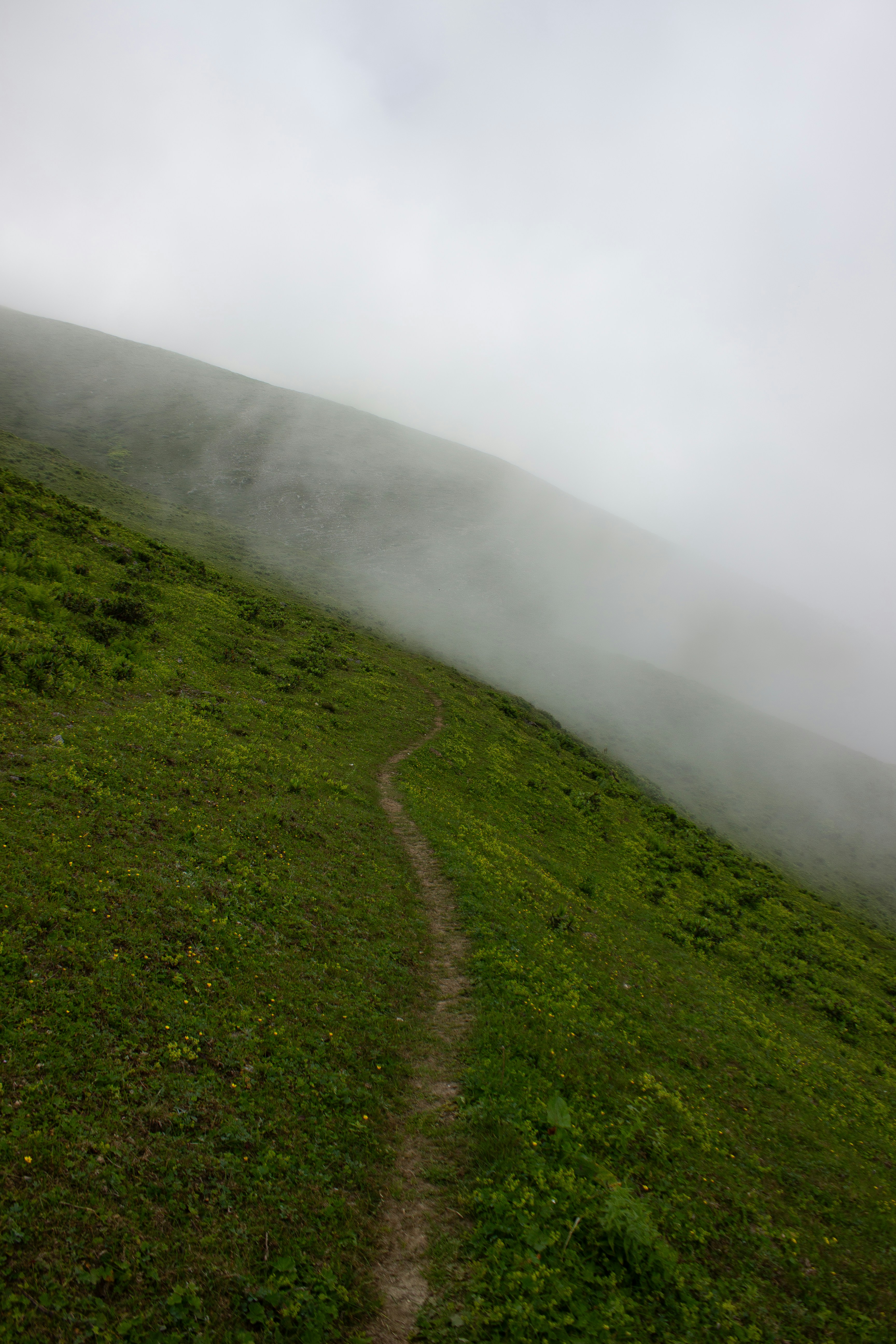 Path through the Misty Green Slope