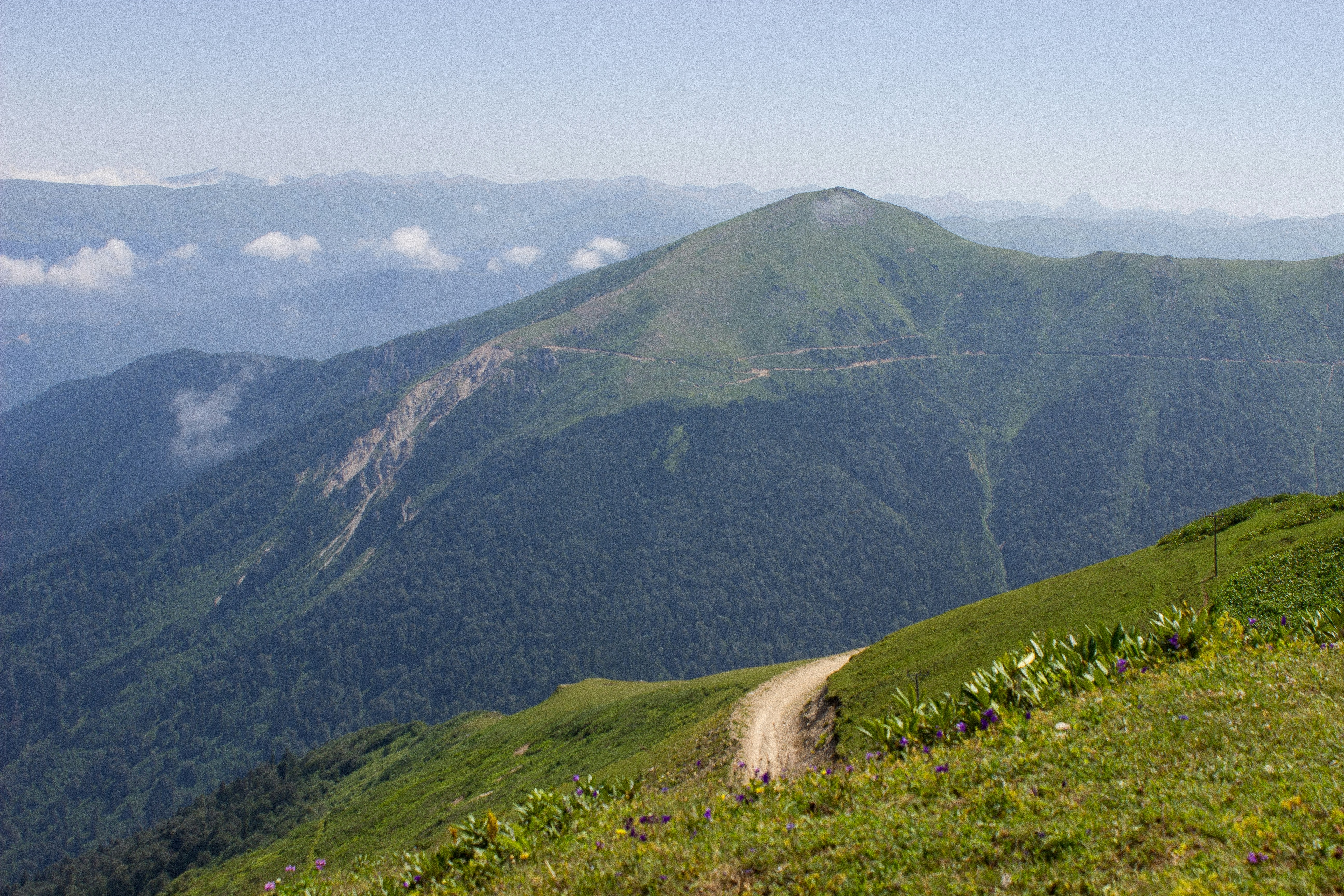 Trail toward the Misty Summit