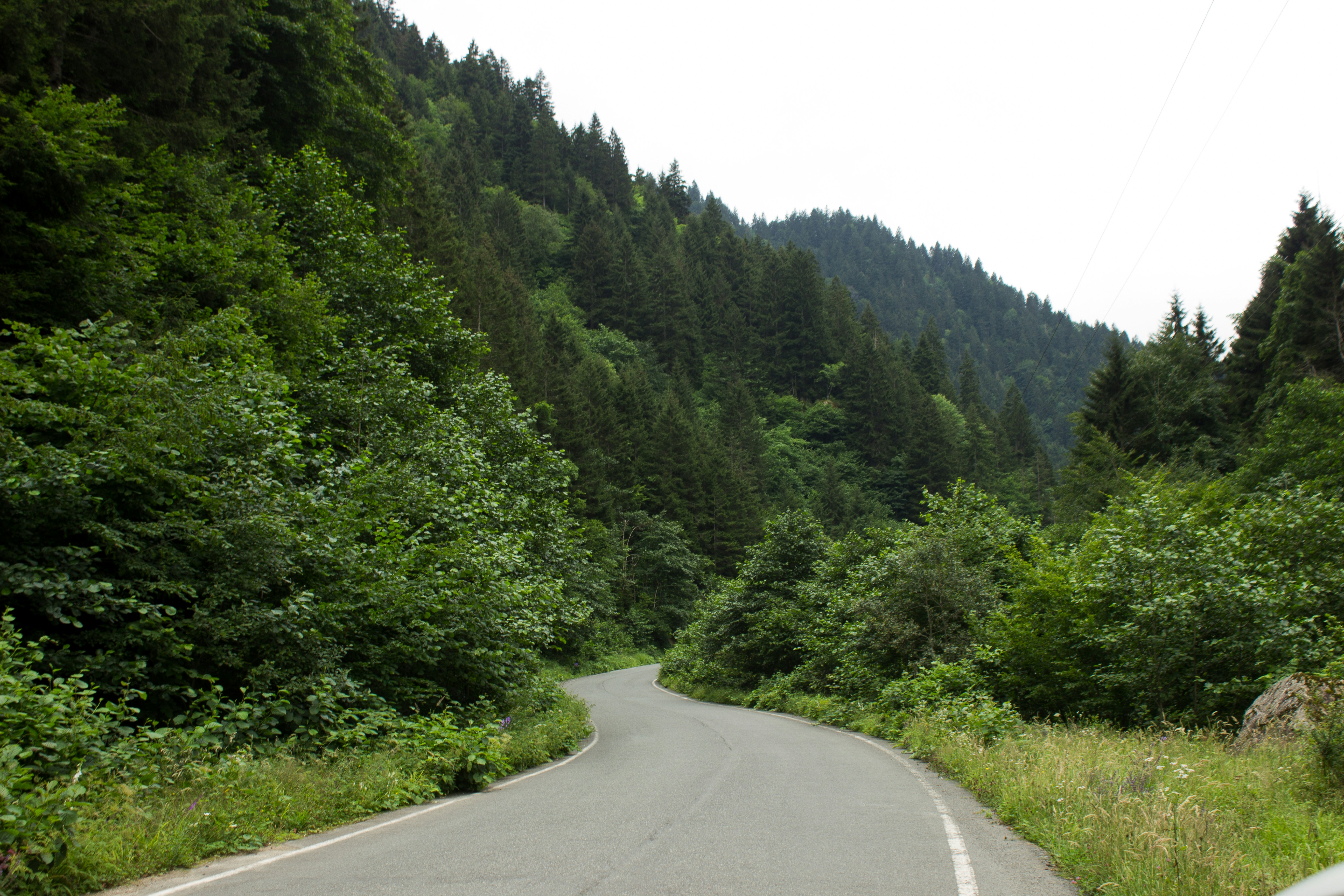 Winding Road Through a Lush Mountain Corridor
