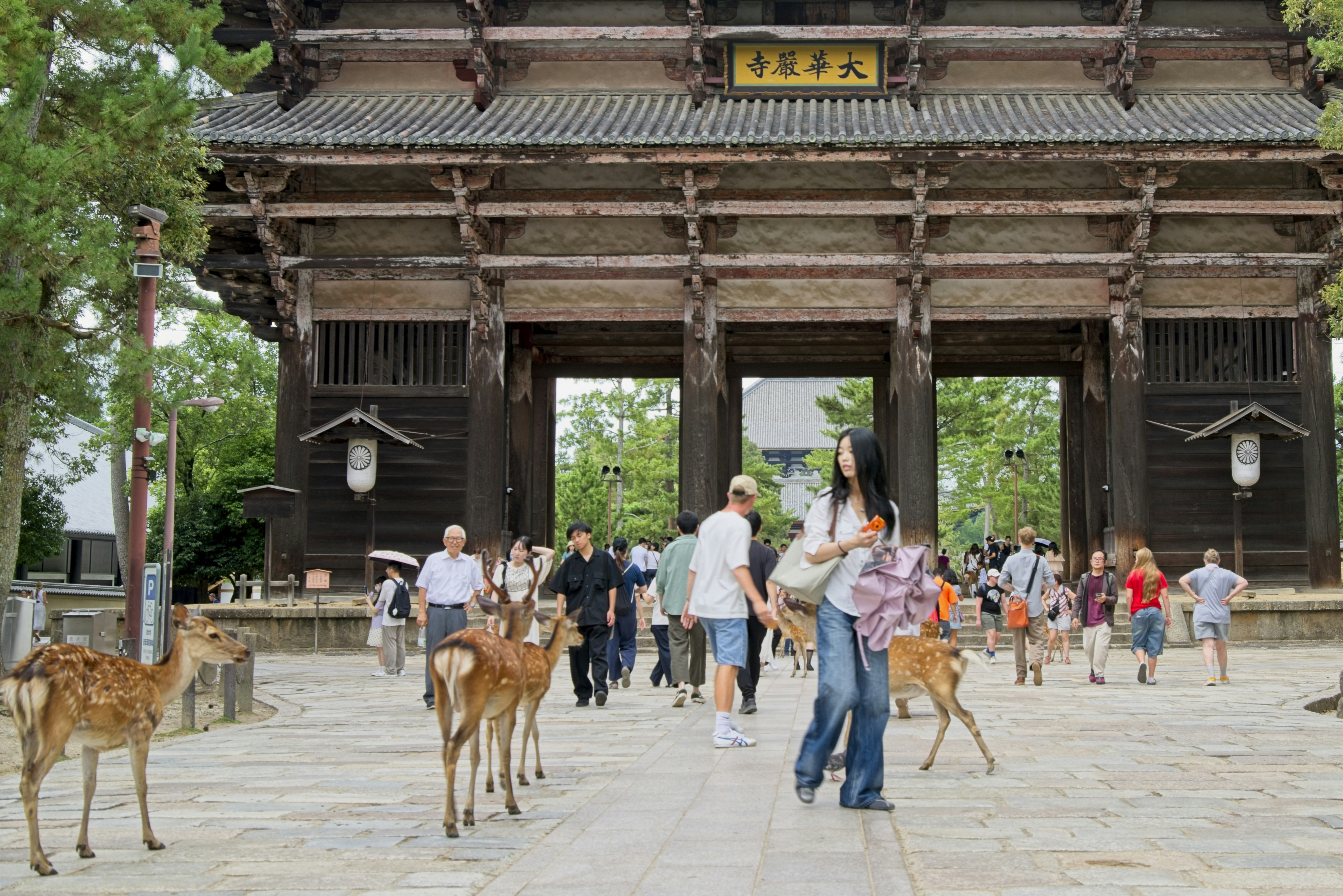 Gate of Tranquil Foot Traffic: Visitors and Deer at a Temple Entrance