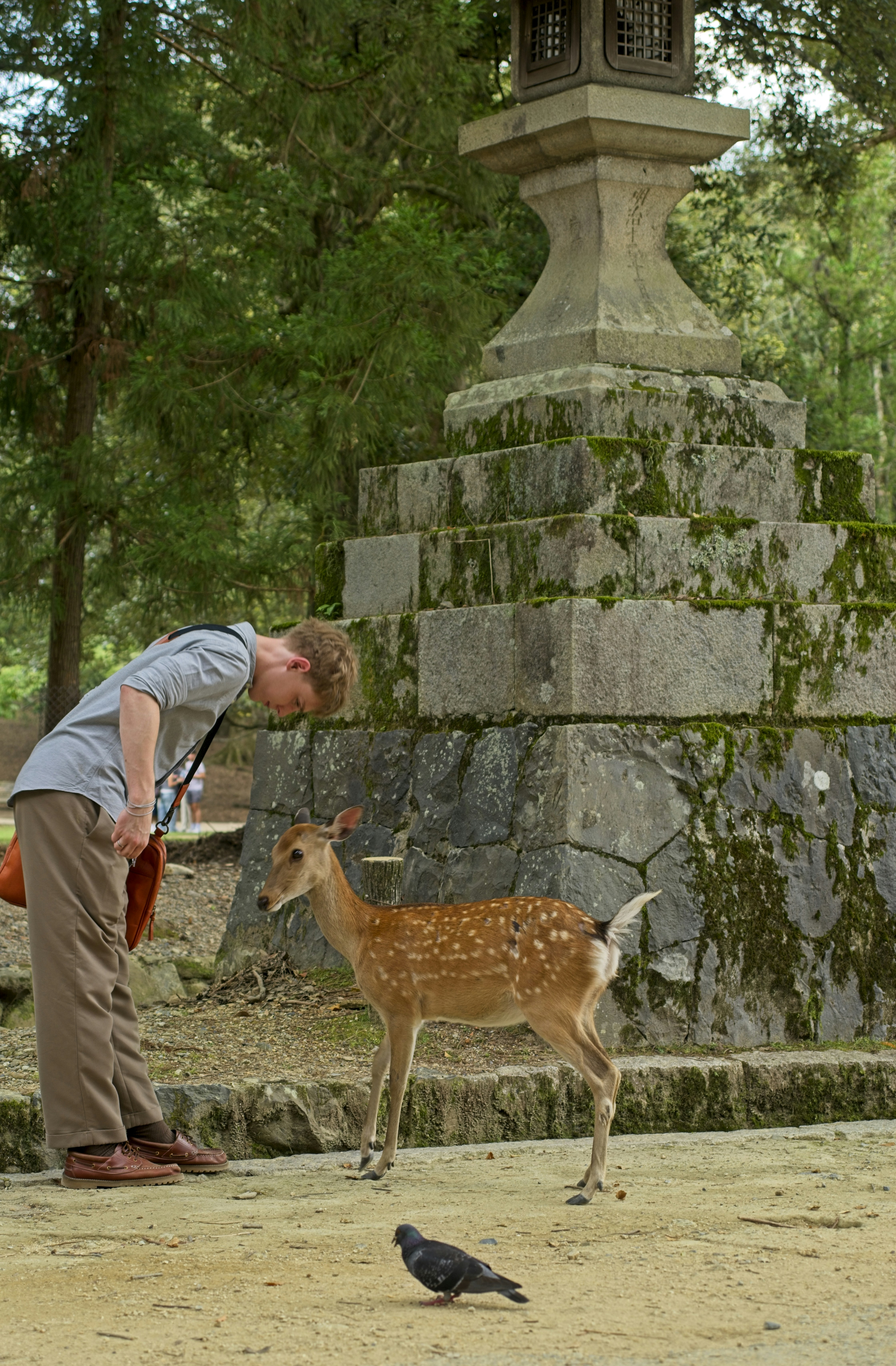 Curious Encounter at the Stone Lantern