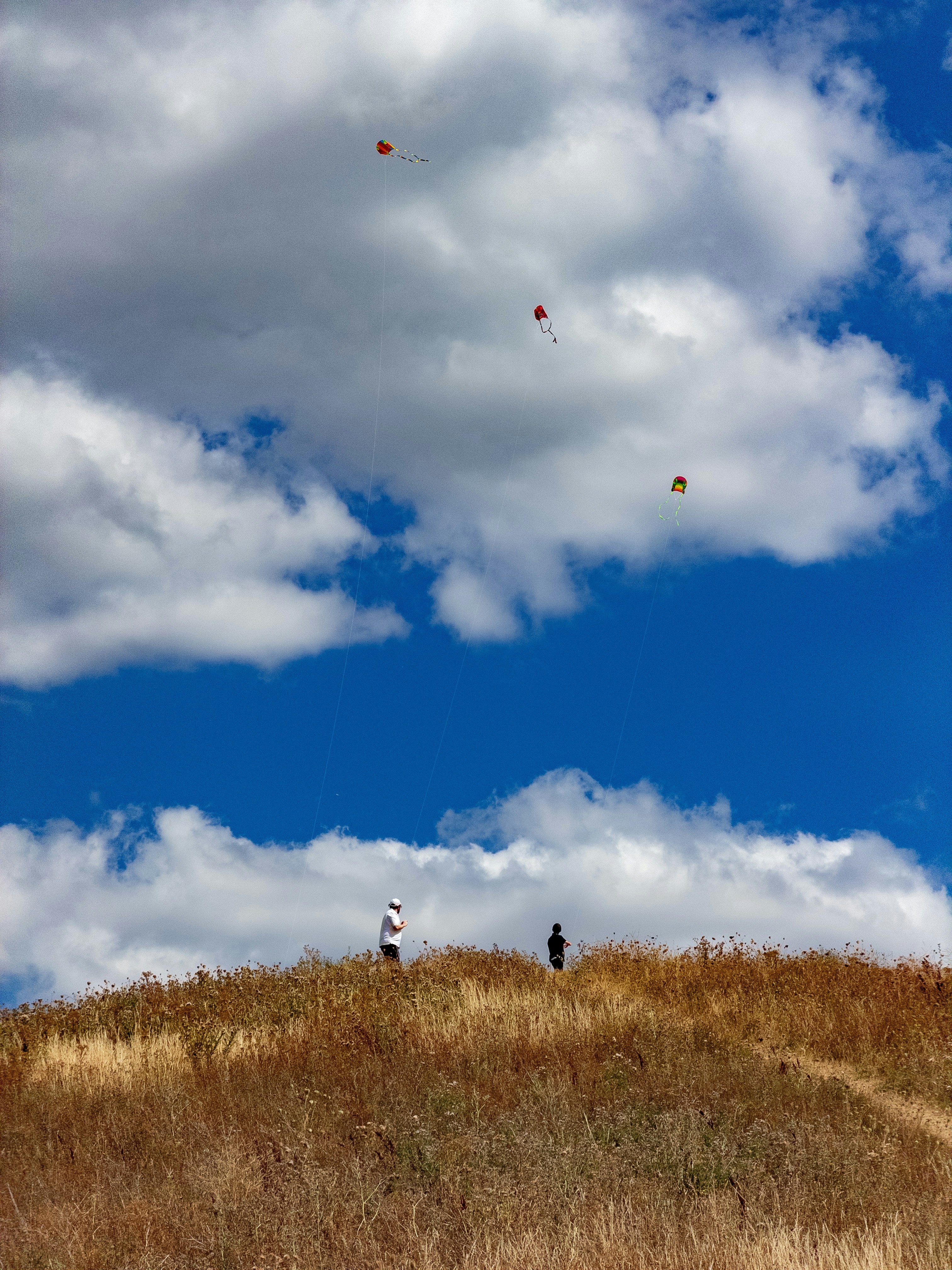 Kite Egress Over the Hilltop