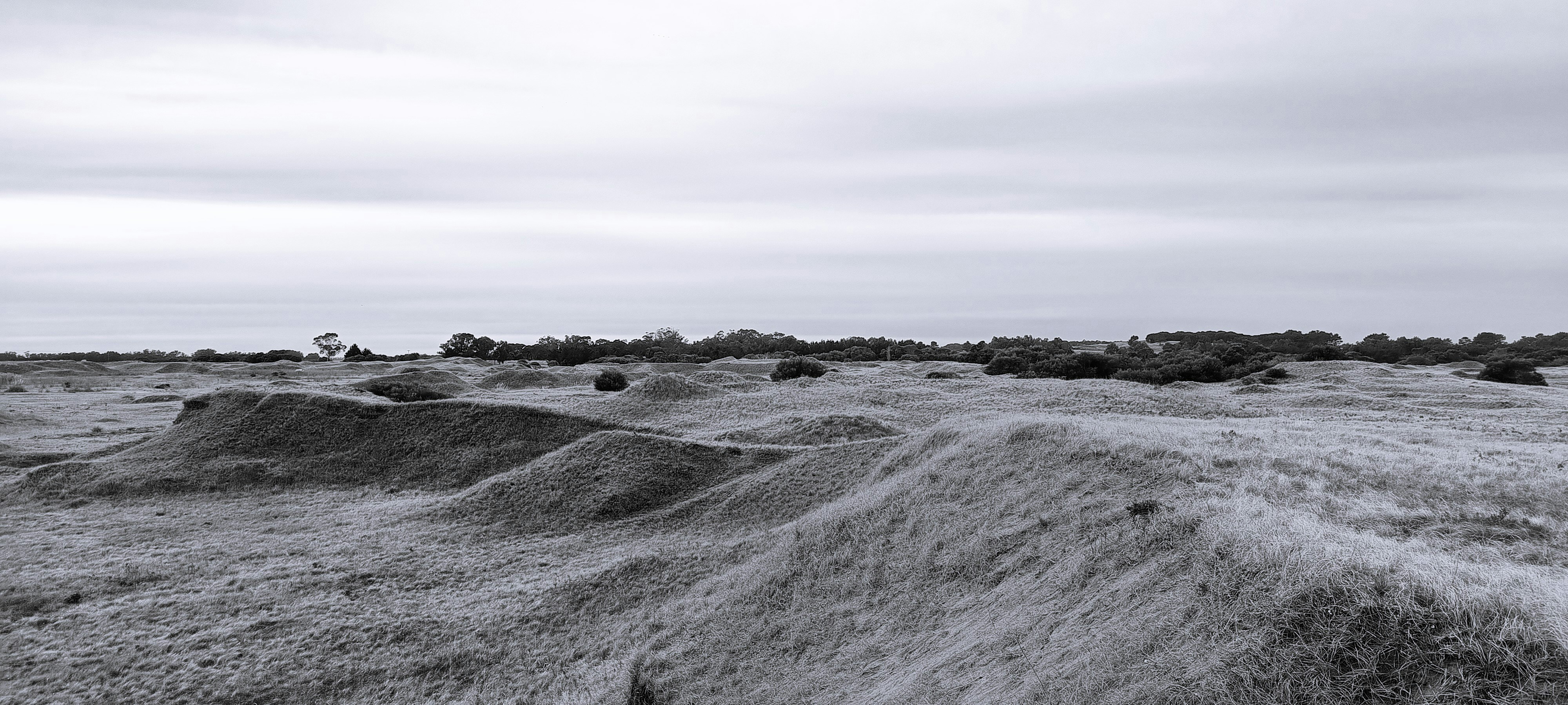 Grainy coastal dunes under overcast sky