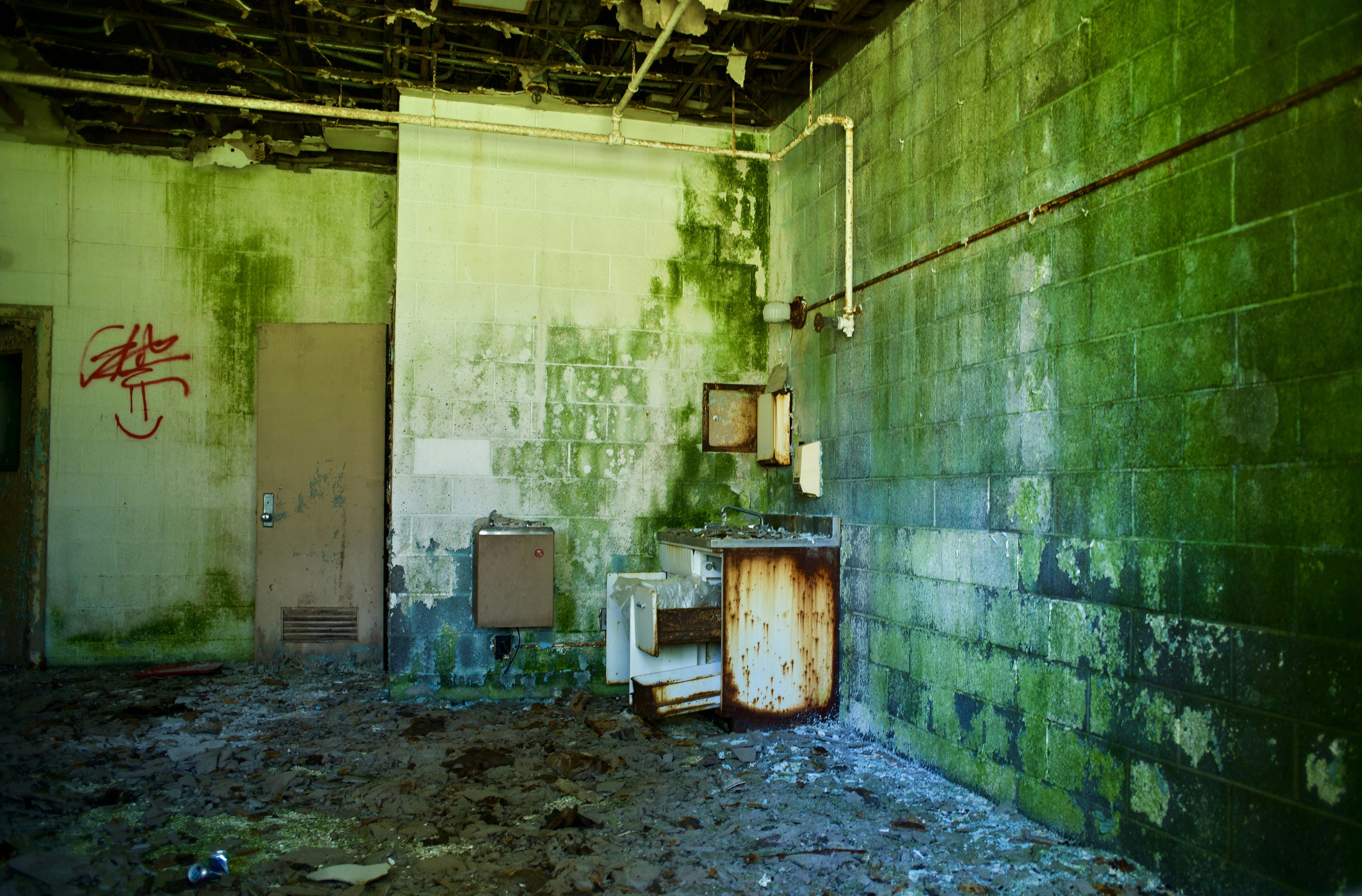 Moss-Chewed Studio: Echoes of a Forgotten Room
