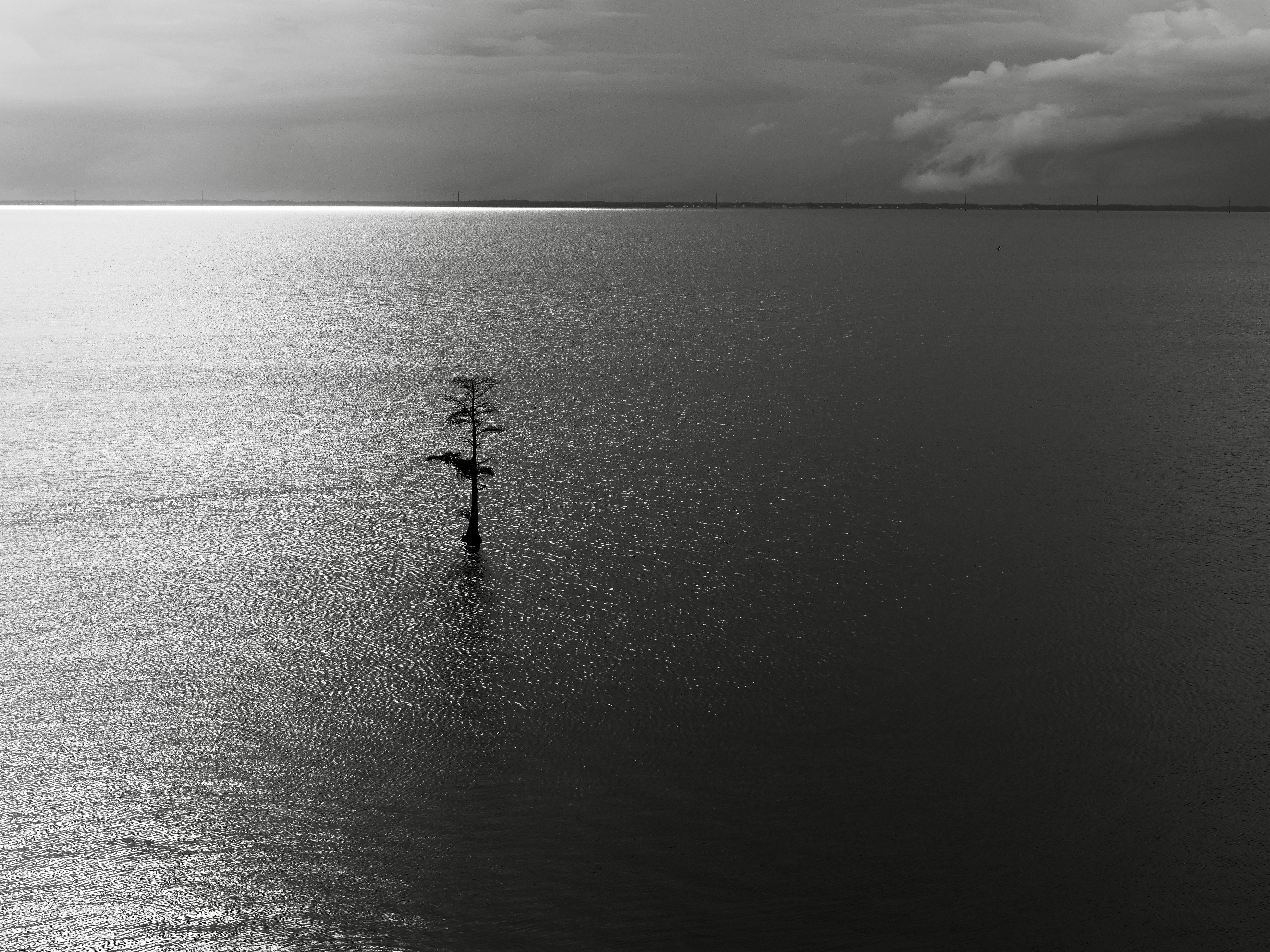 Isolated Marker: A Lone Buoy Silhouette Across Silver Sea